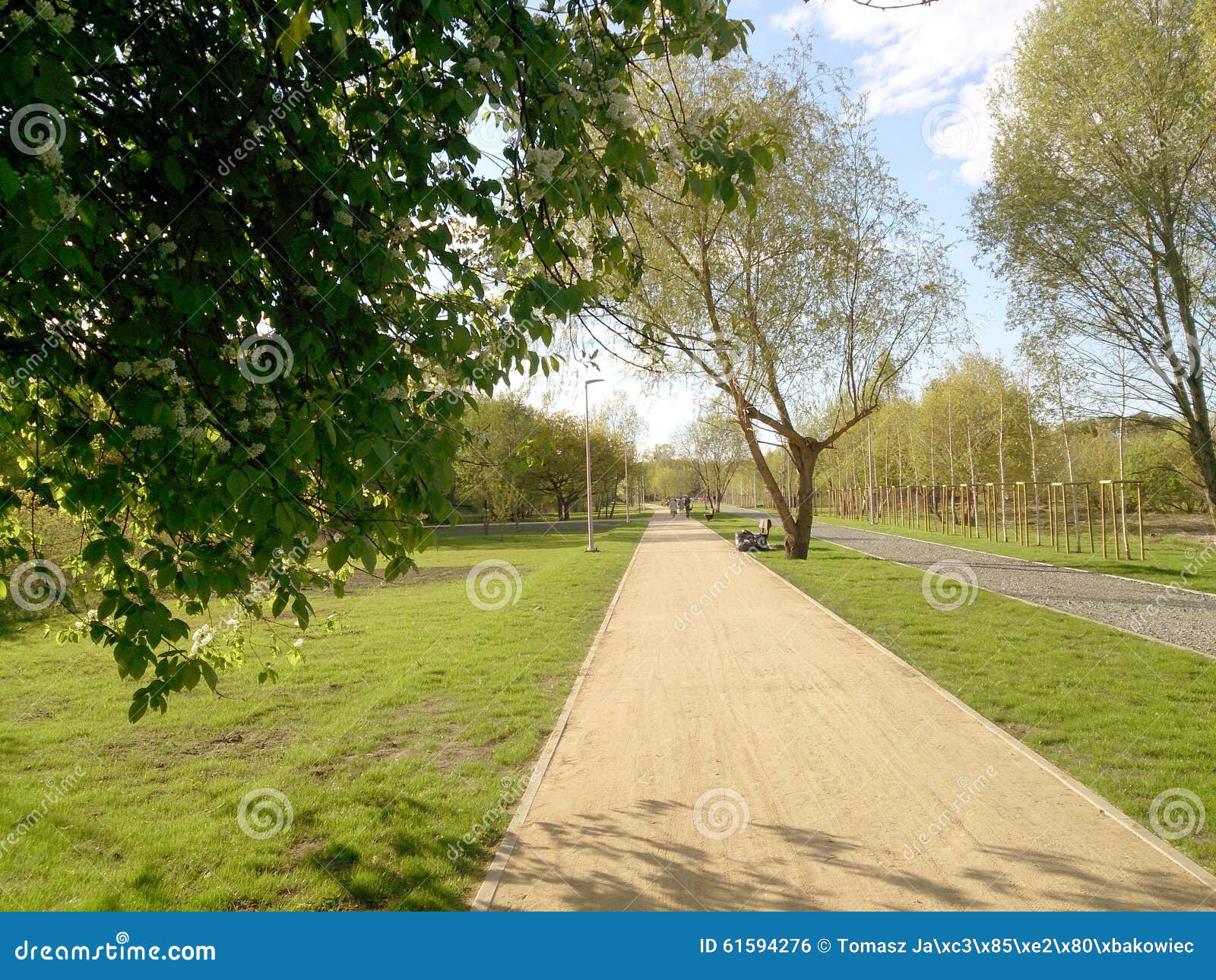 Sunny park stock photo. Image of park, blue, flowers - 61594276