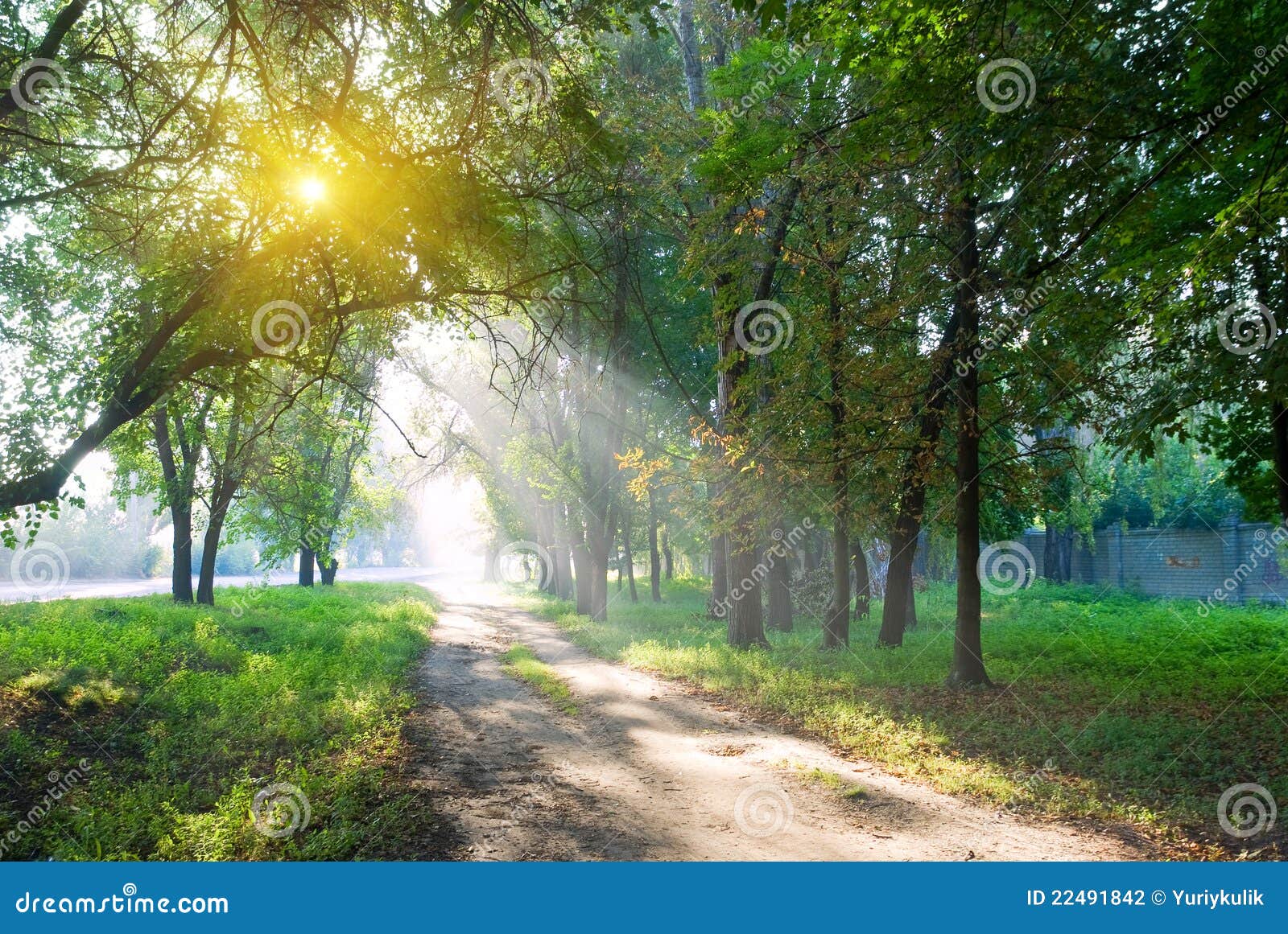 Sunny park road stock photo. Image of bright, idyllic - 22491842