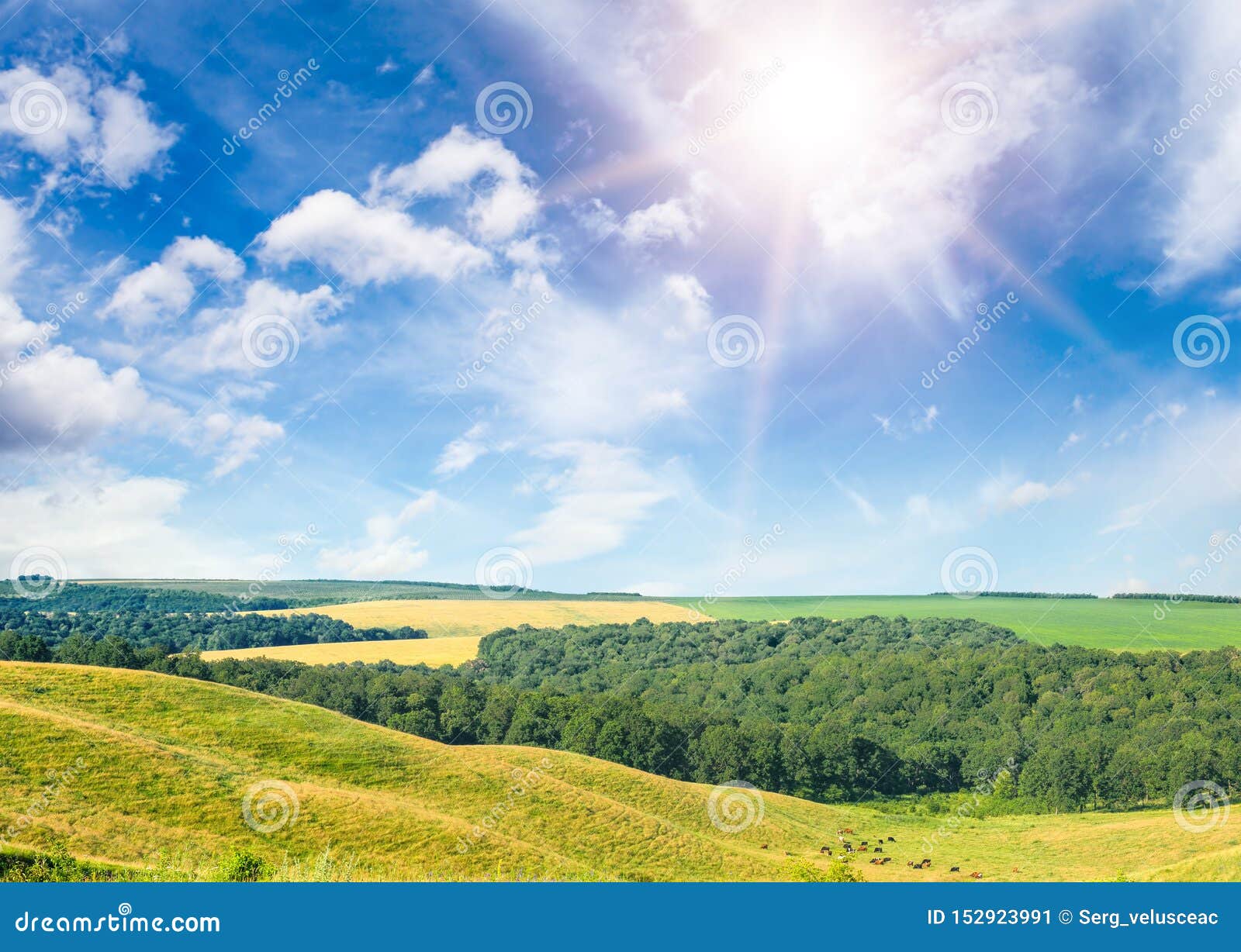 Sunny Pasture Landscape and Bright Sky Stock Image - Image of fresh ...