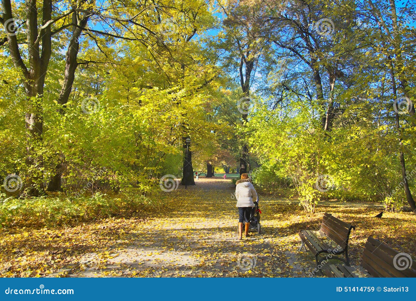 Sunny path in park stock image. Image of leaf, outdoor - 51414759