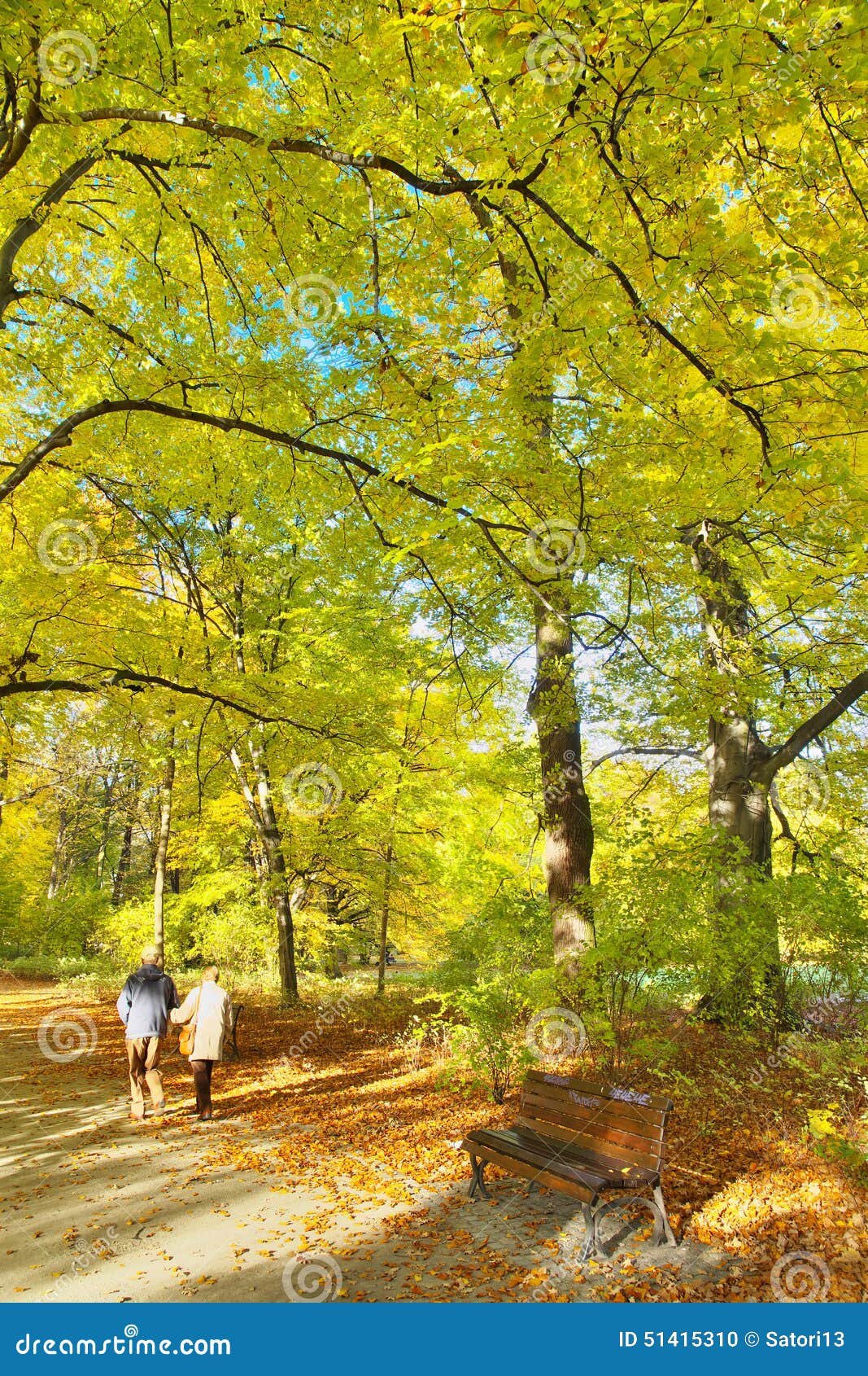 Sunny path in park stock photo. Image of green, pensioner - 51415310