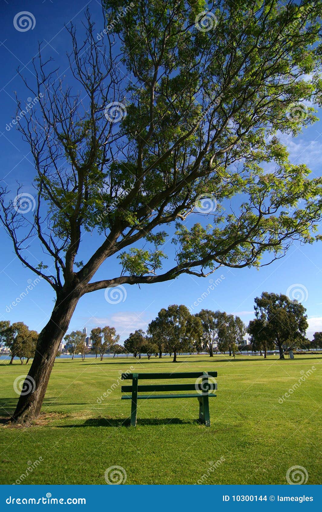 A sunny Perth day stock photo. Image of western, blue - 10300144