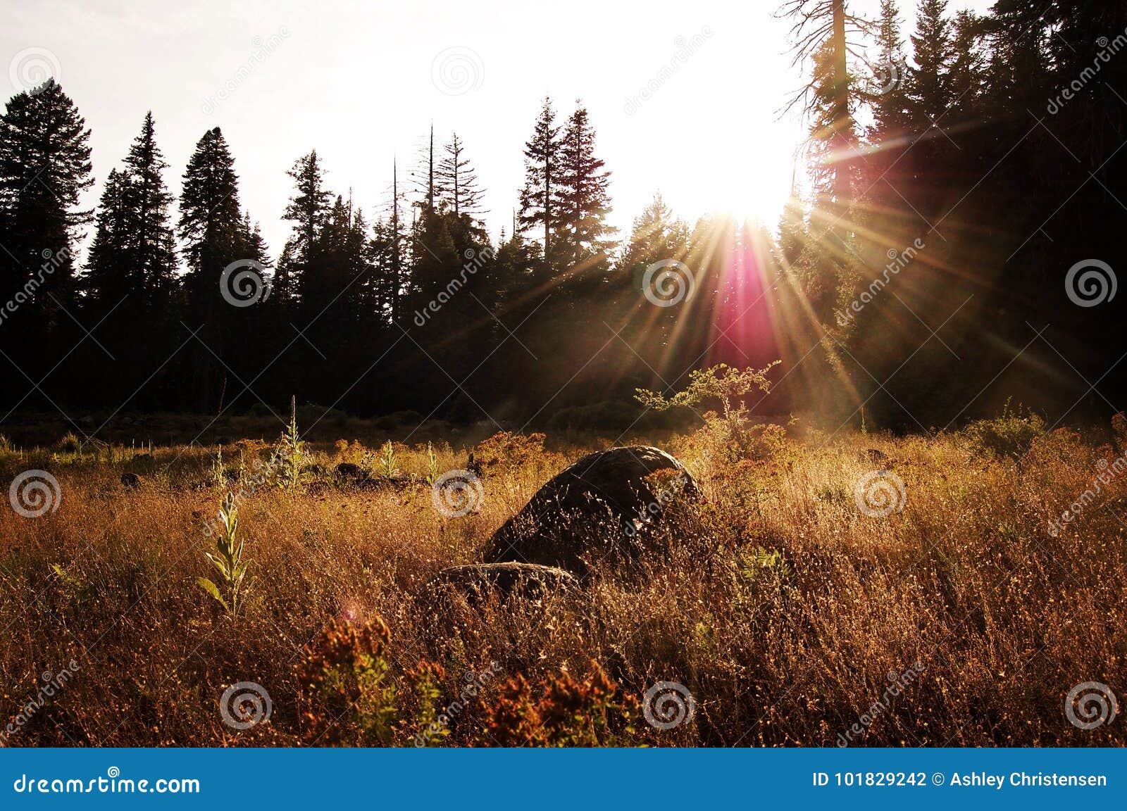 Landscape stock photo. Image of nature, sunny, place - 101829242