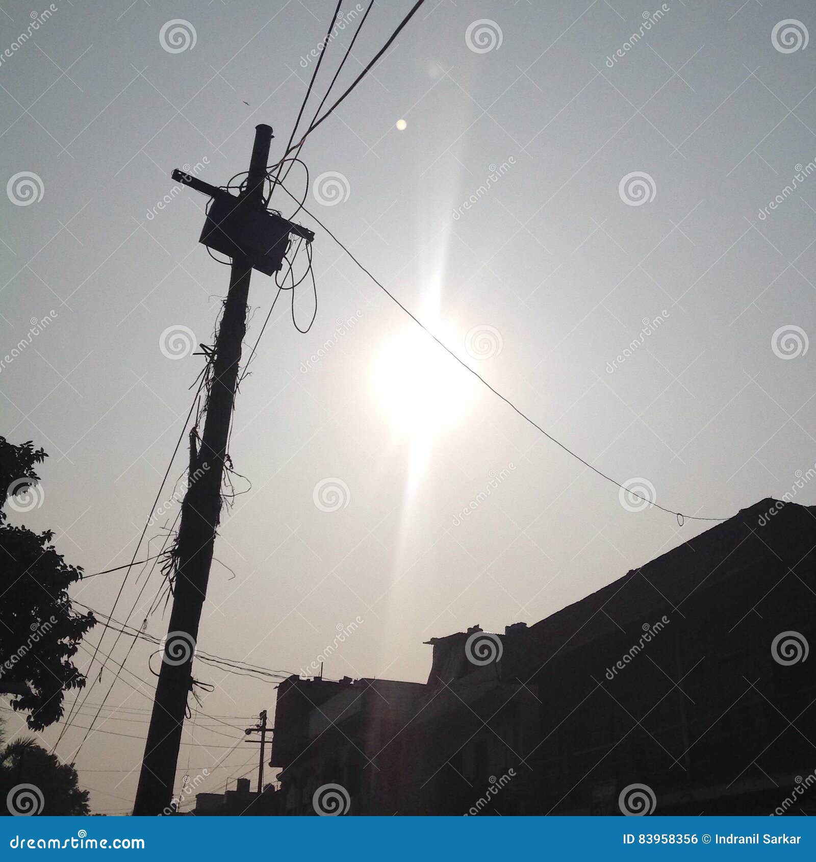 Sunny pole stock photo. Image of sunny, dark, shines - 83958356