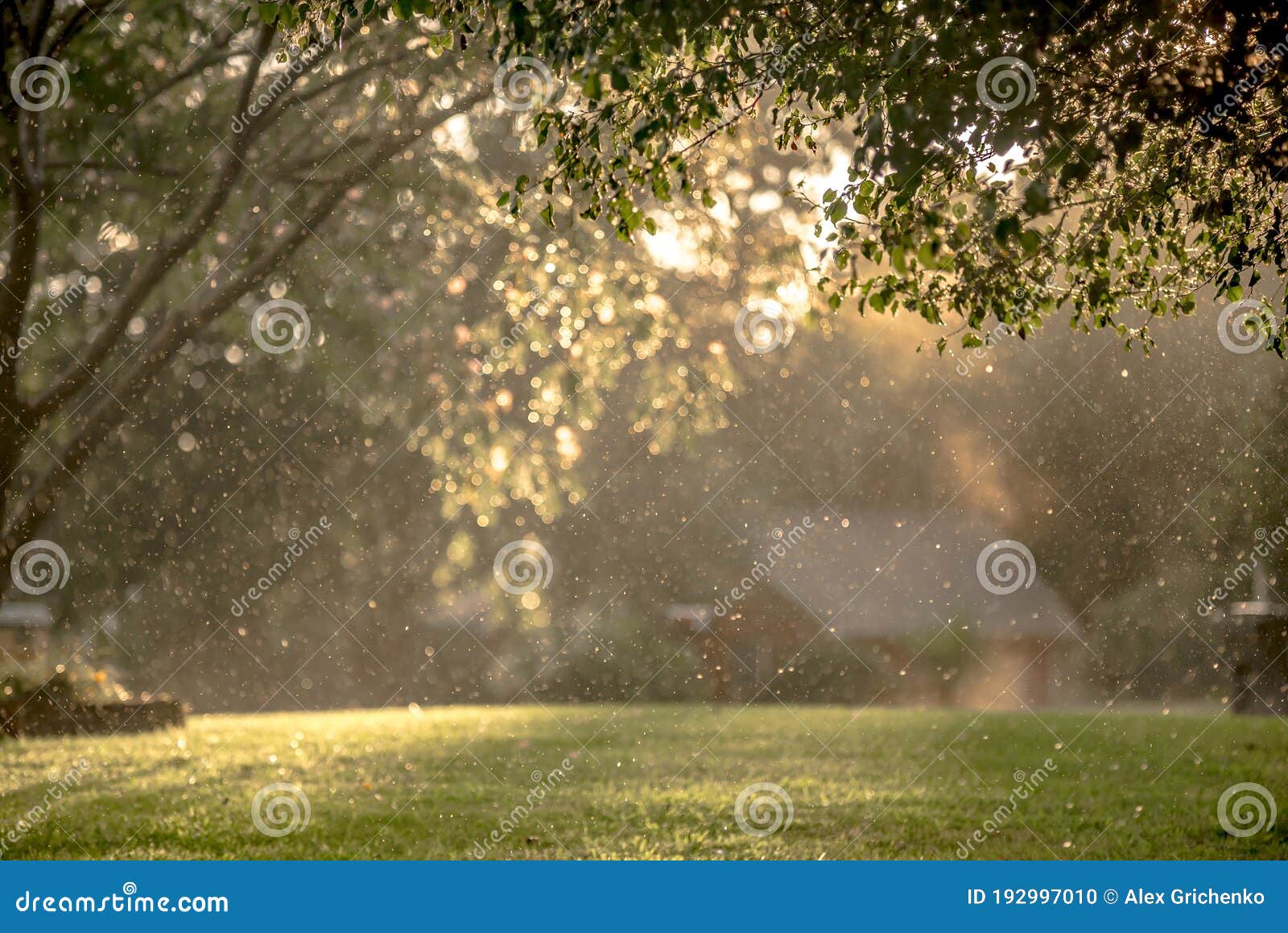 Sunny Sky With Sun Rays Shining From Behind Clouds In Blue And Yellow ...