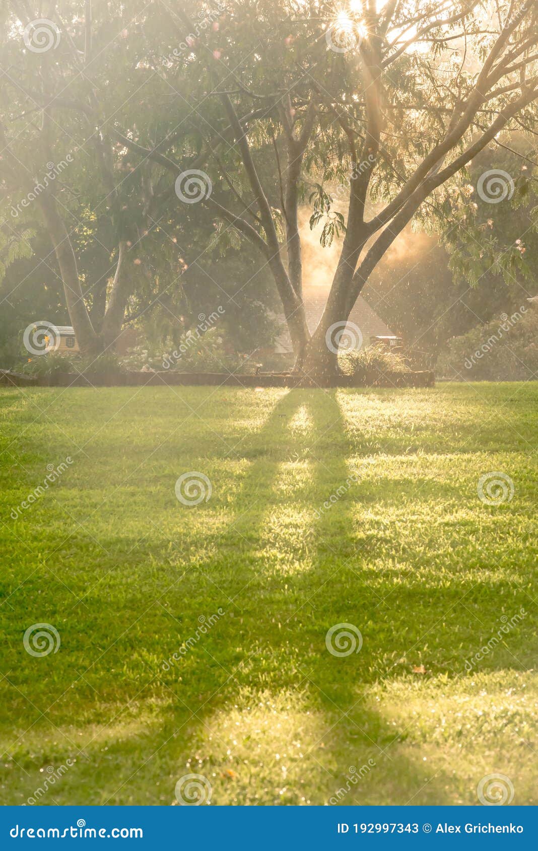 Sunny Sky With Sun Rays Shining From Behind Clouds In Blue And Yellow ...
