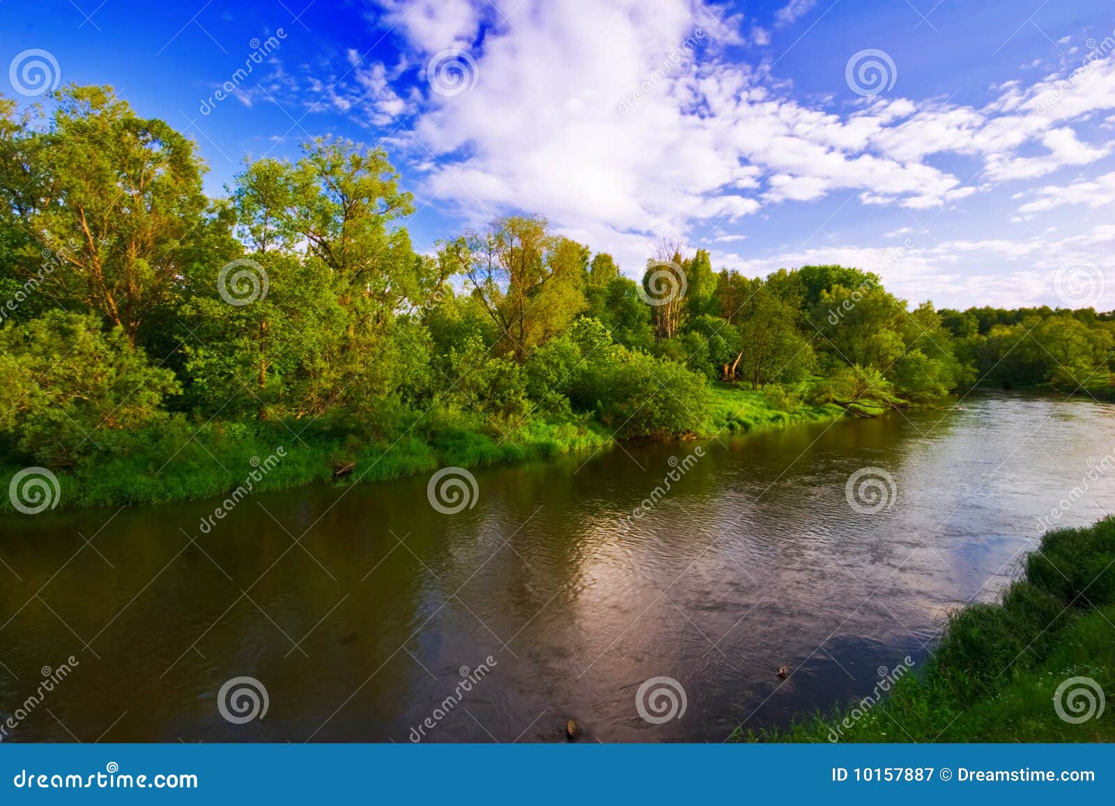 Sunny river stock image. Image of botany, clouds, closeup - 10157887