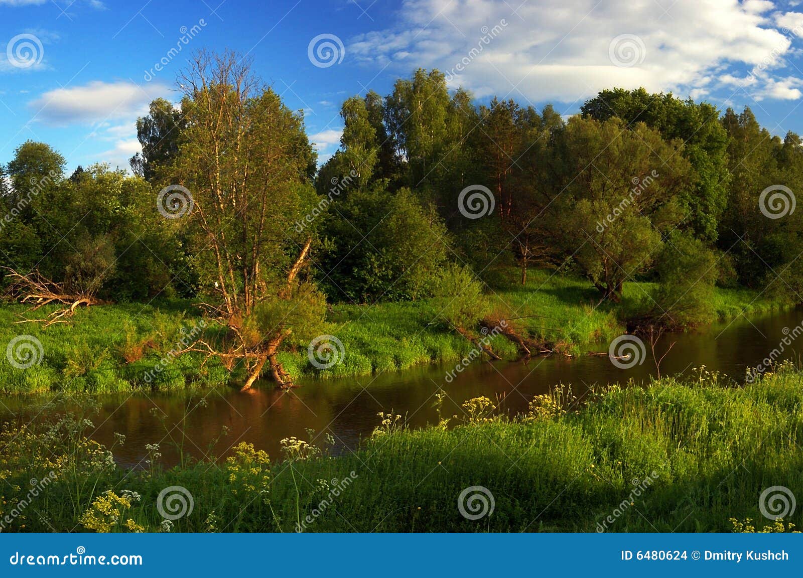 Sunny river stock photo. Image of grass, reflected, clouds - 6480624