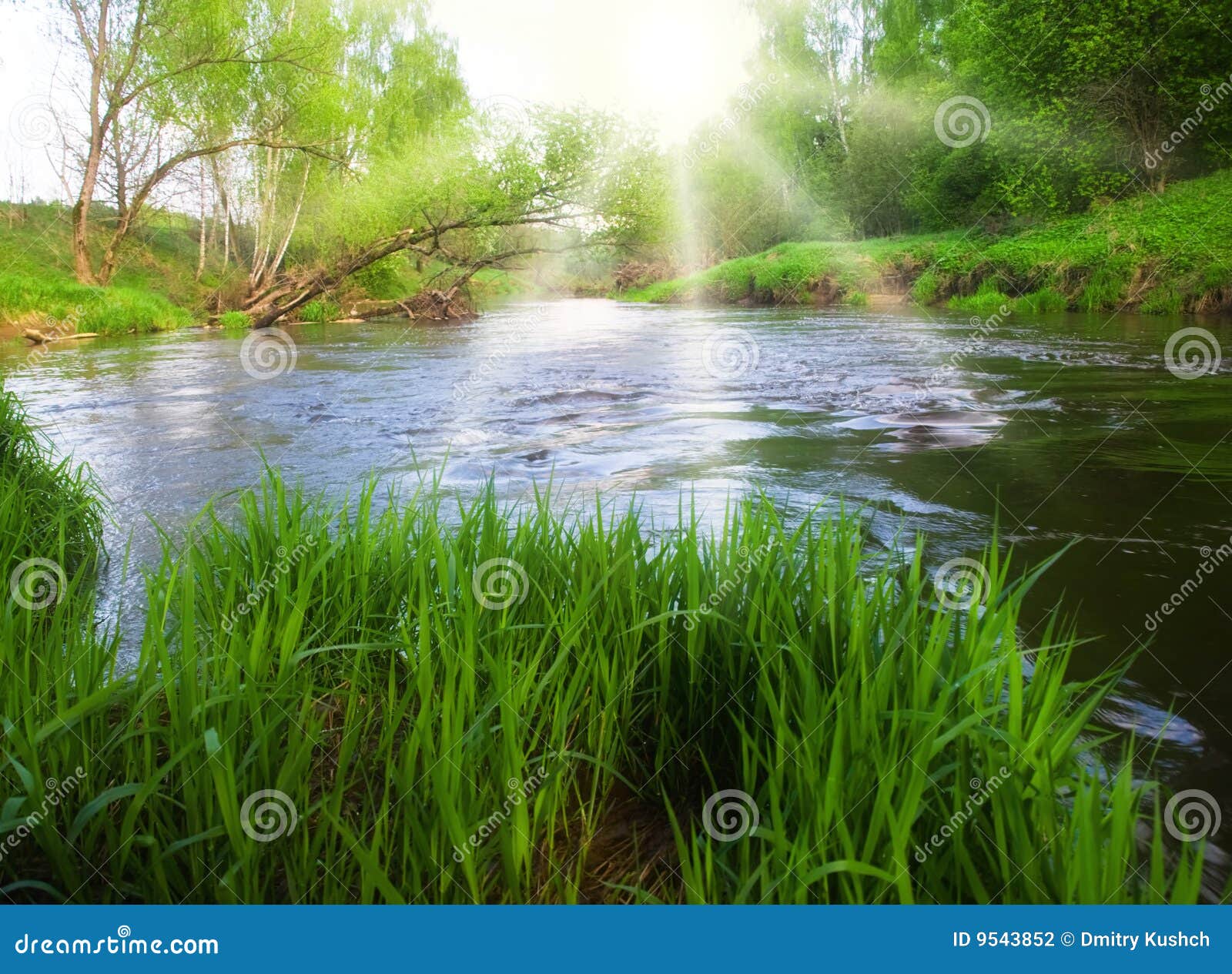 Sunny river stock photo. Image of environment, fresh, ecology - 9543852