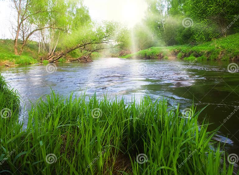 Sunny river stock photo. Image of environment, fresh, ecology - 9543852
