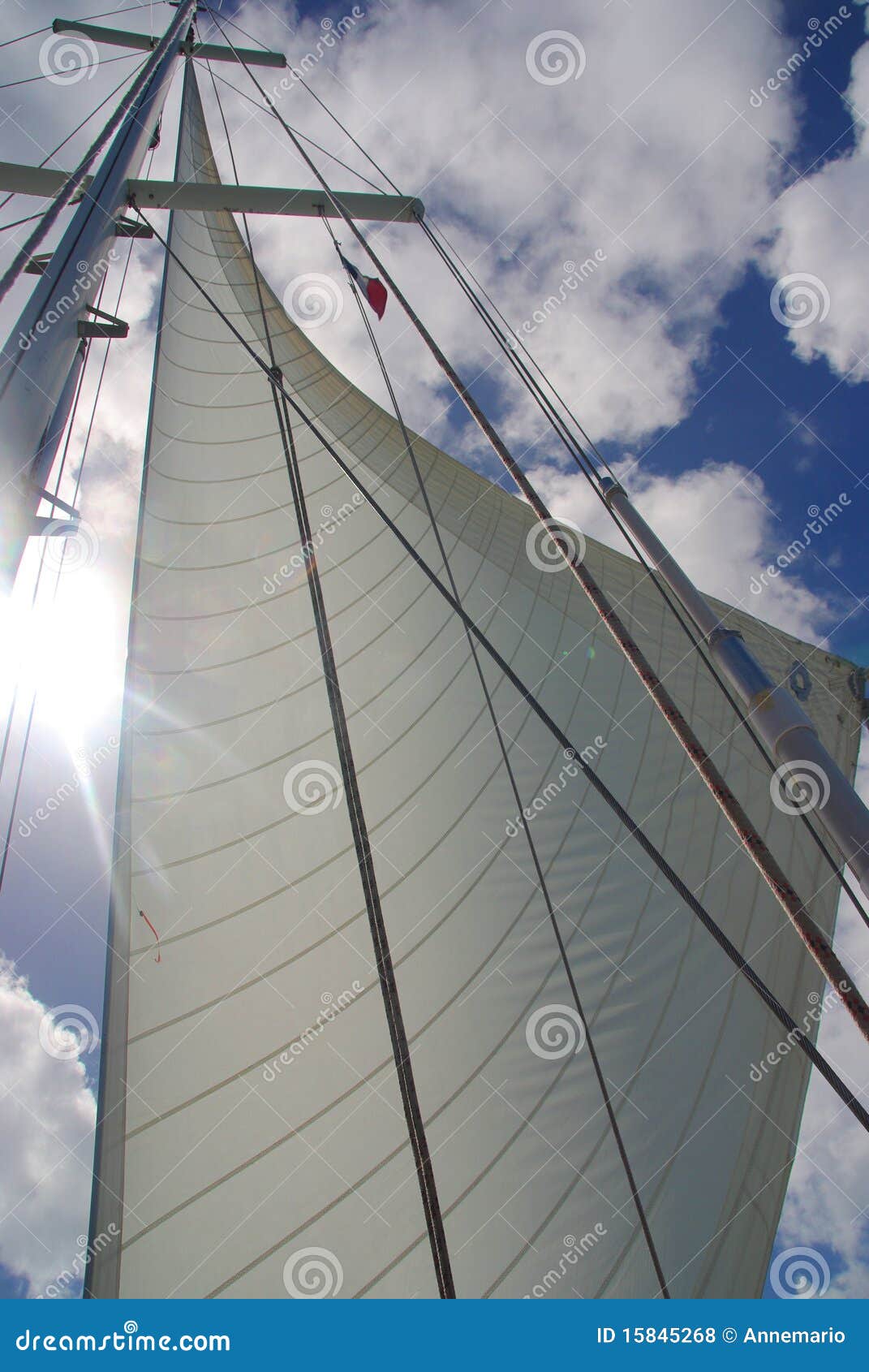 Sunny sailing stock photo. Image of environment, explorer - 15845268