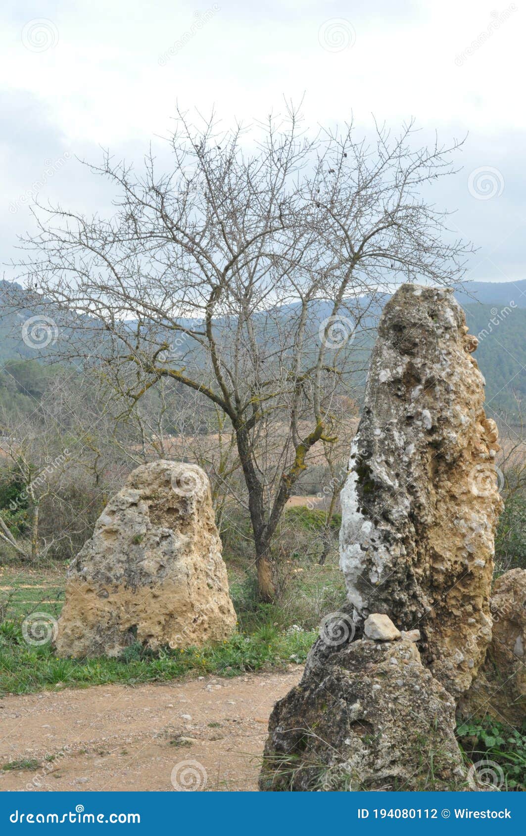 Sunny Scenery of Big Rocks in an Autumnal Field Stock Photo - Image of ...