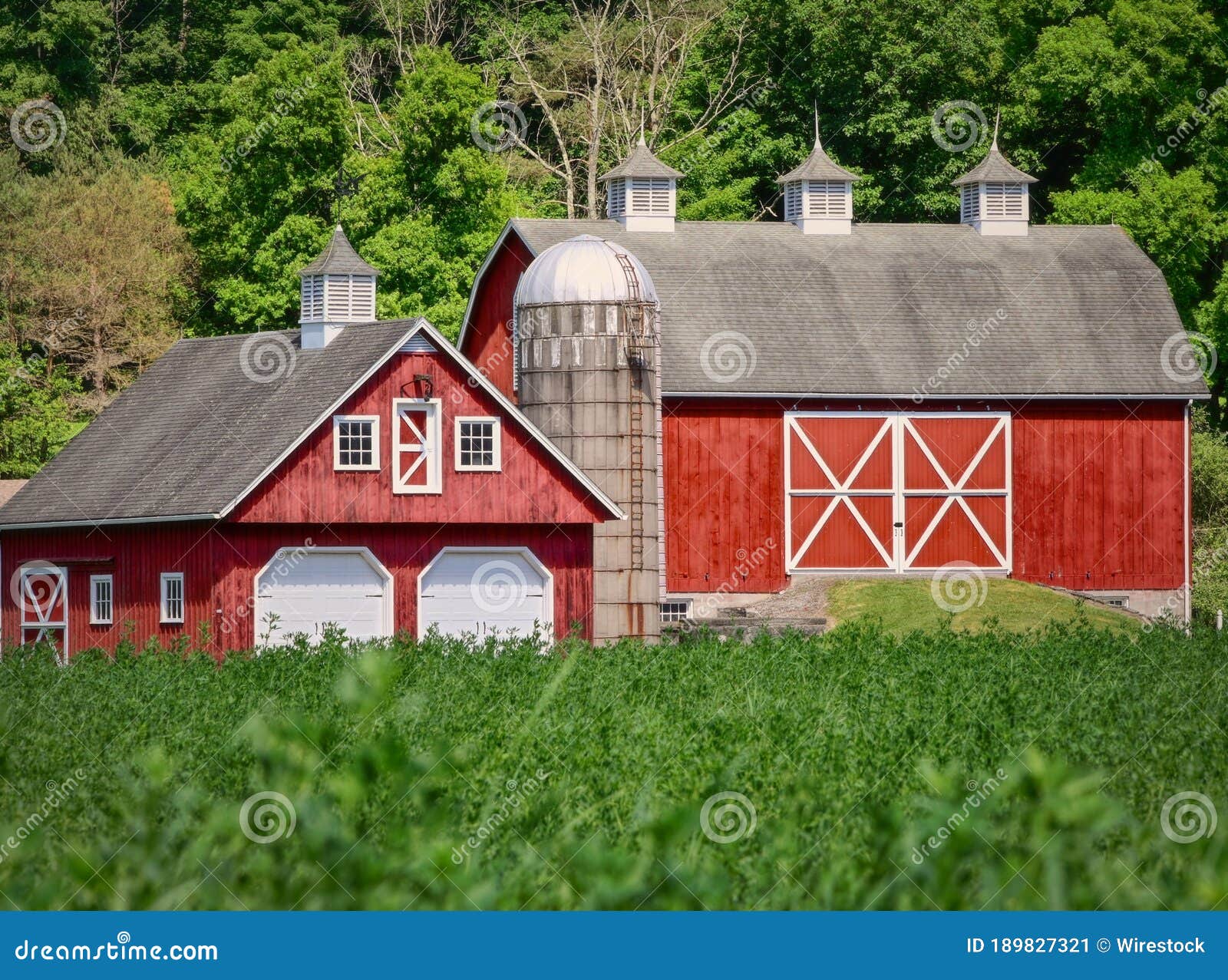 Sunny Scenery of a Farm Territory with Two Barns Stock Image - Image of ...