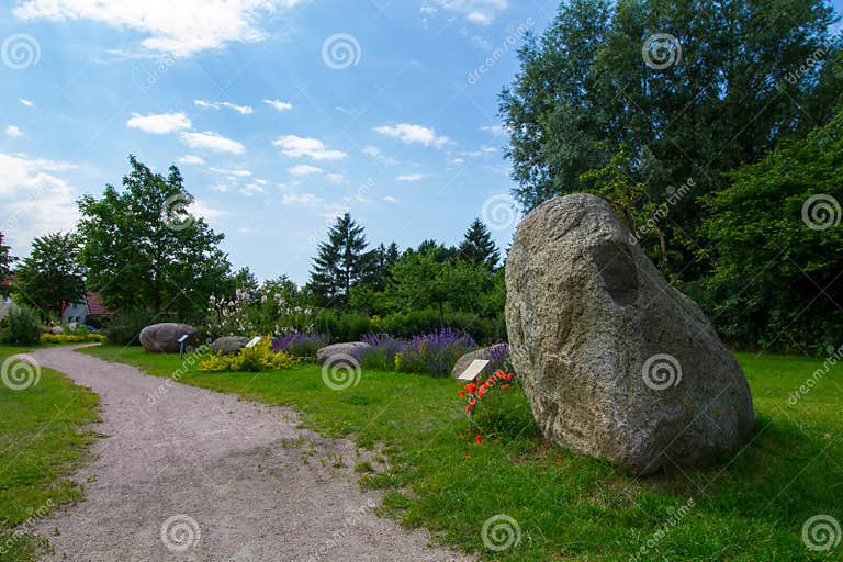 Sunny Scenery of a Narrow Pathway in the Nature Stock Photo - Image of ...