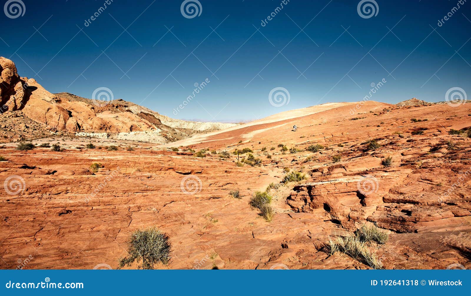 Sunny Scenery of the Valley of Fire State Park in Nevada, USA Stock ...