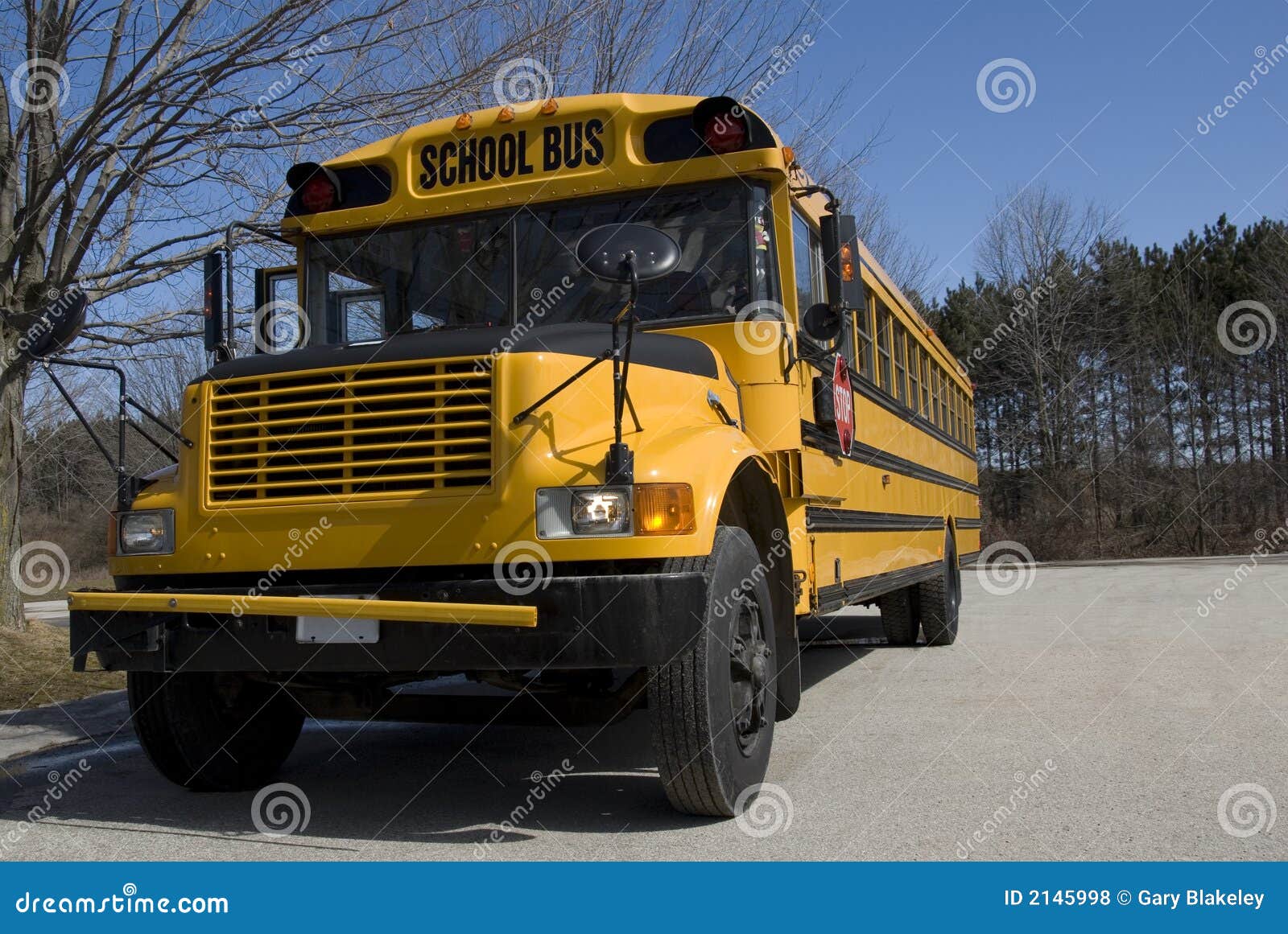 Sunny School Bus stock photo. Image of trip, bright, canada - 2145998