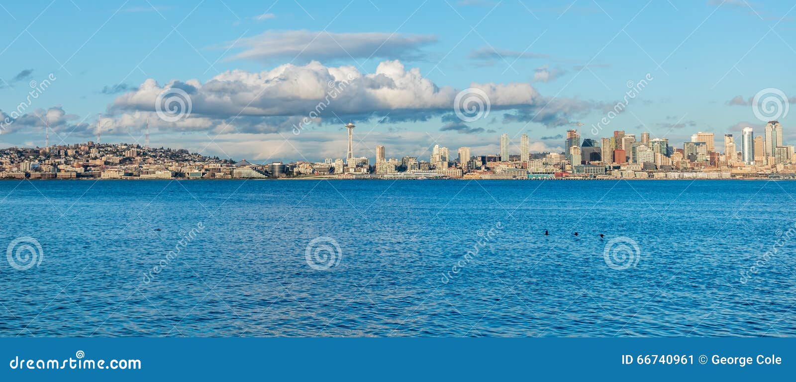 Sunny Seattle Skyline 2 stock image. Image of northwest - 66740961