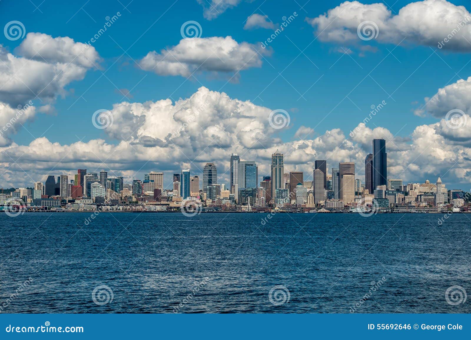 Sunny Seattle Skyline stock photo. Image of northwest - 55692646