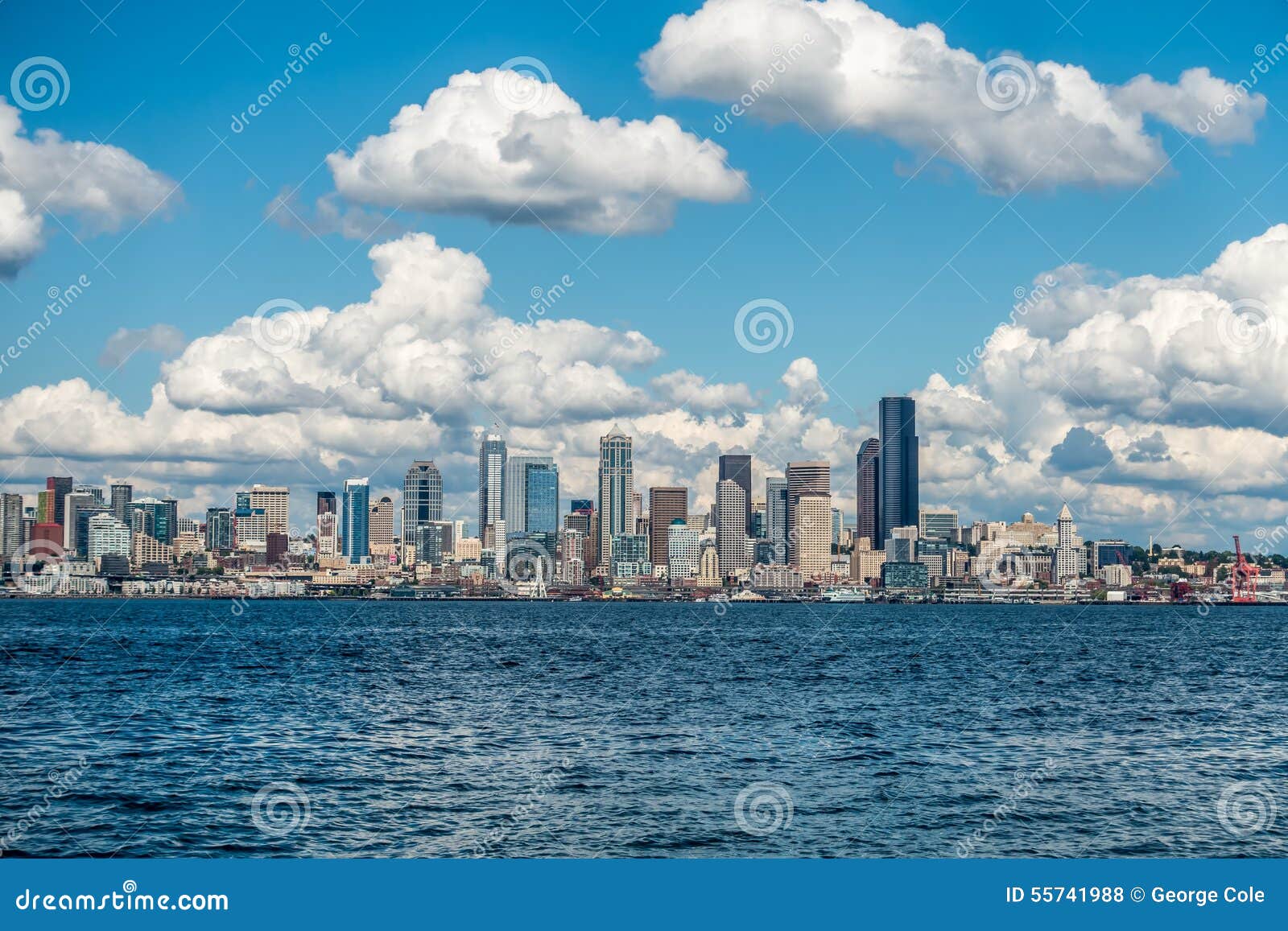 Sunny Seattle Skyline 6 stock photo. Image of urban, skyline - 55741988