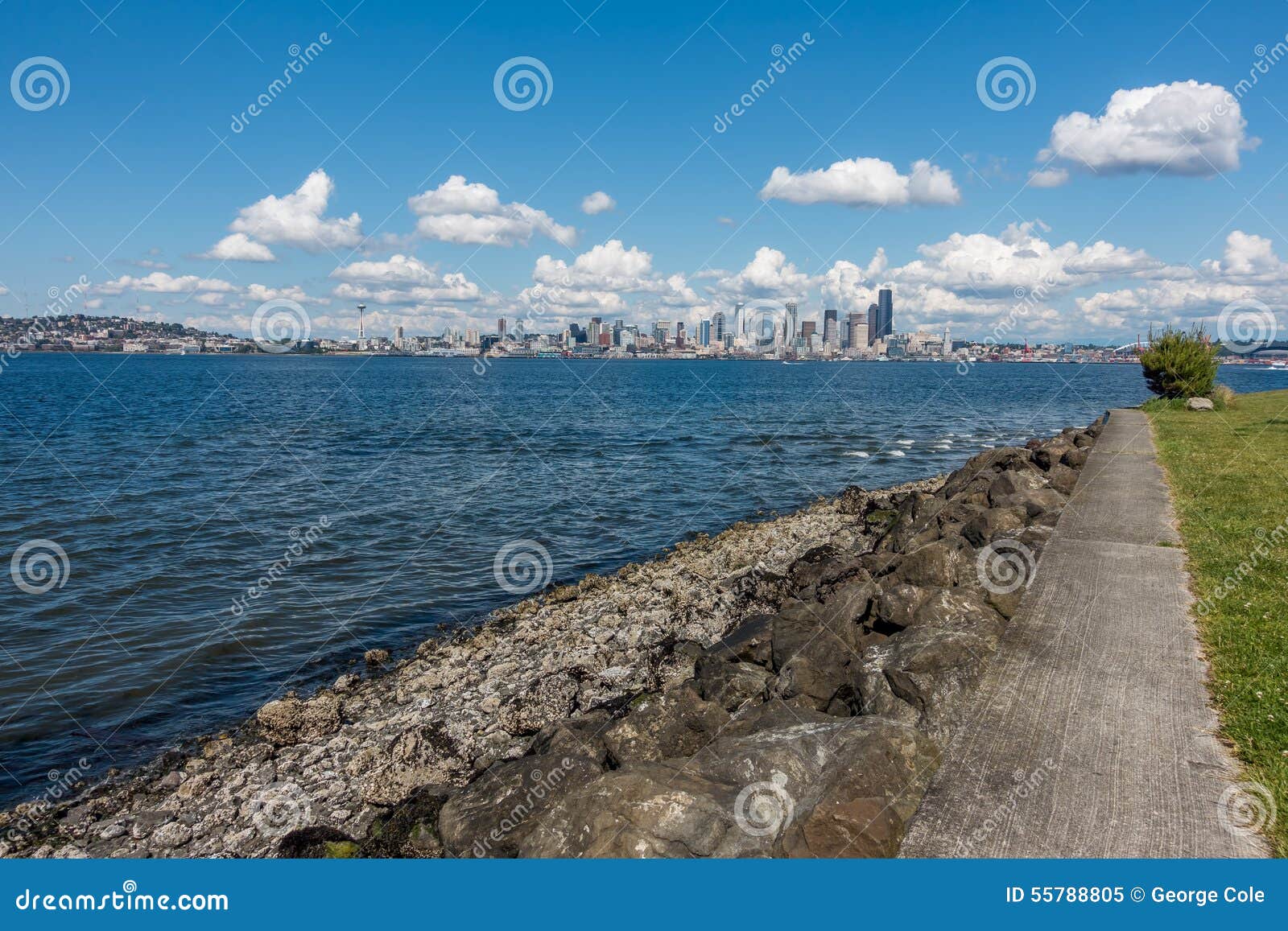 Sunny Seattle Skyline 10 stock image. Image of washington - 55788805