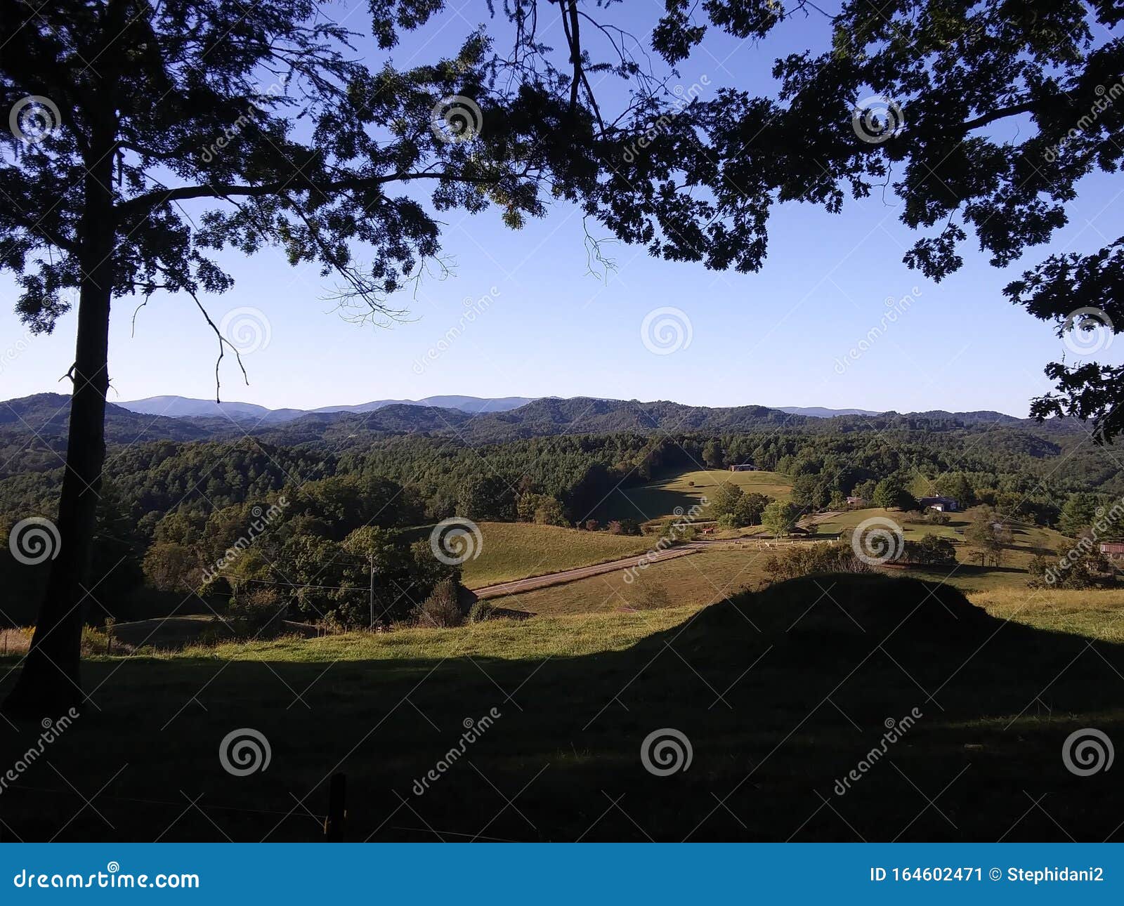 Sunny shade view too stock image. Image of sunny, senic - 164602471