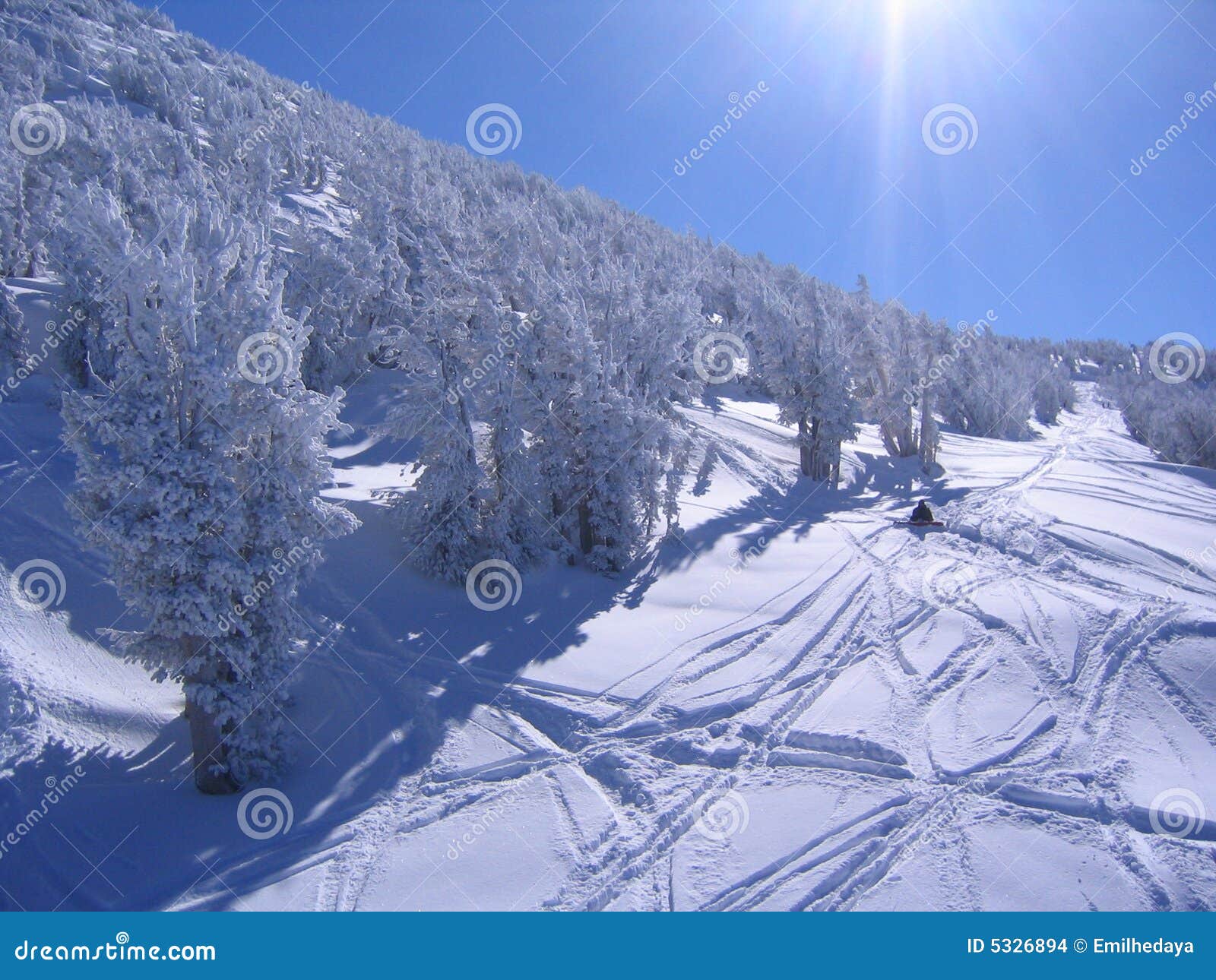 Sunny ski slope stock photo. Image of snow, frost, slope - 5326894