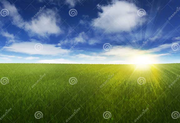 Sunny Sky Over Grassy Field Stock Photo - Image of farmland, nature ...