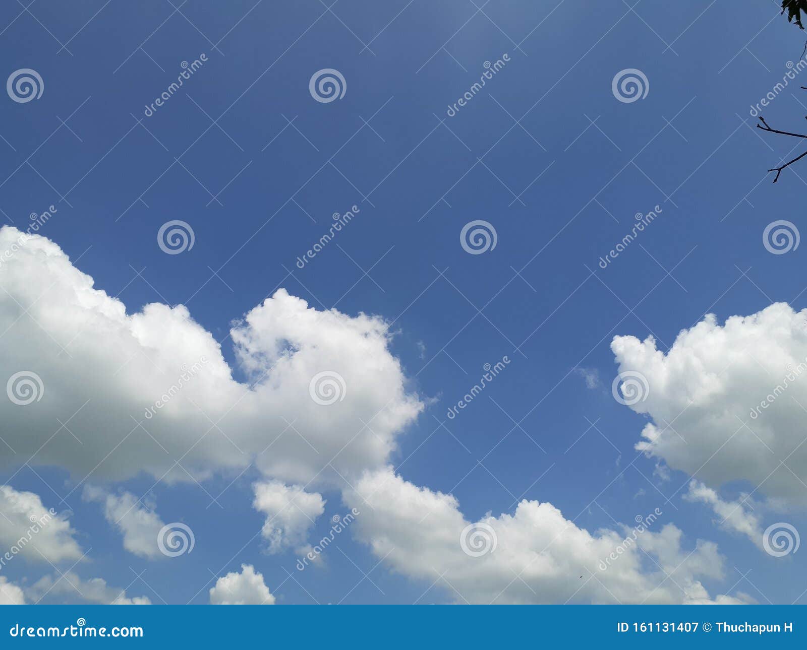 Sunny Sky Over Tree Top stock image. Image of tree, sunny - 161131407