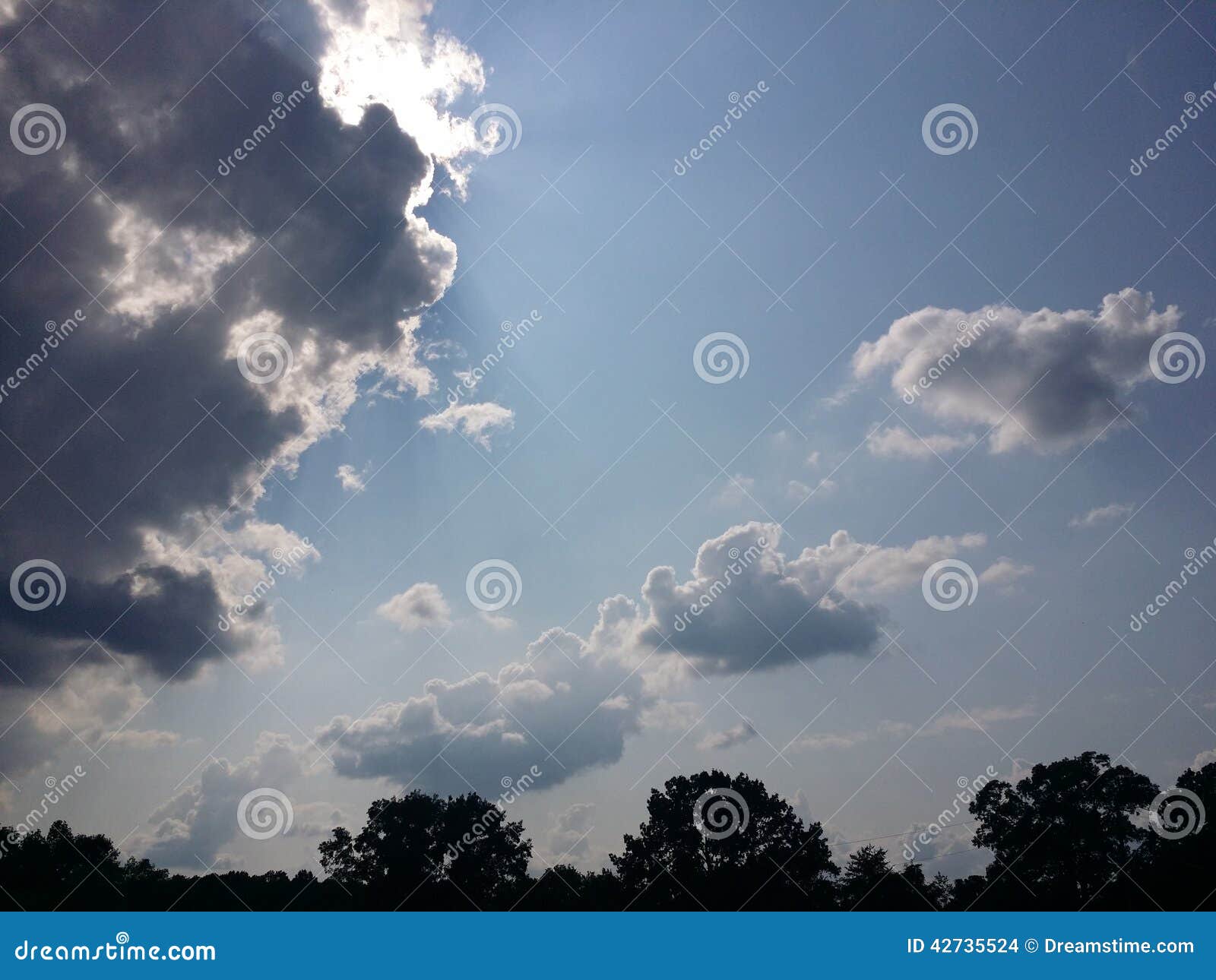 Sunny sky tree tops stock photo. Image of sunny, tree - 42735524