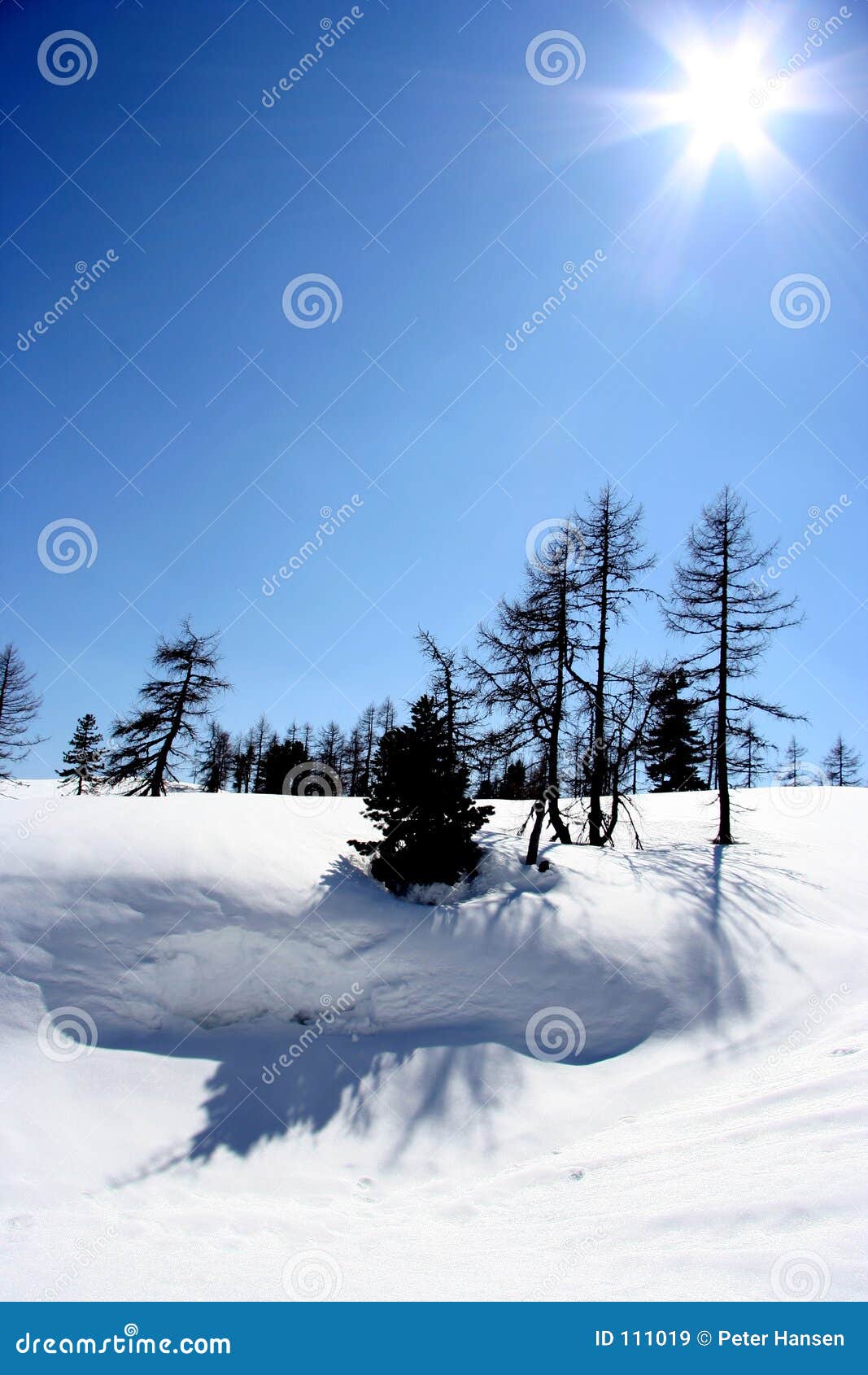 Sunny snowscape stock image. Image of sunshine, exercise - 111019