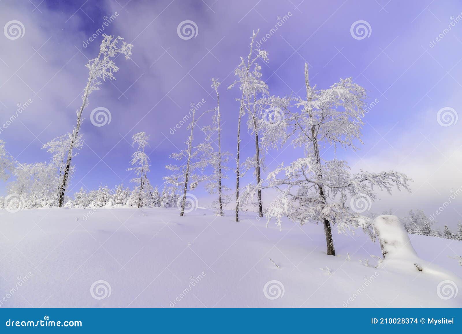 Sunny snowy landscape stock photo. Image of nature, beautiful - 210028374