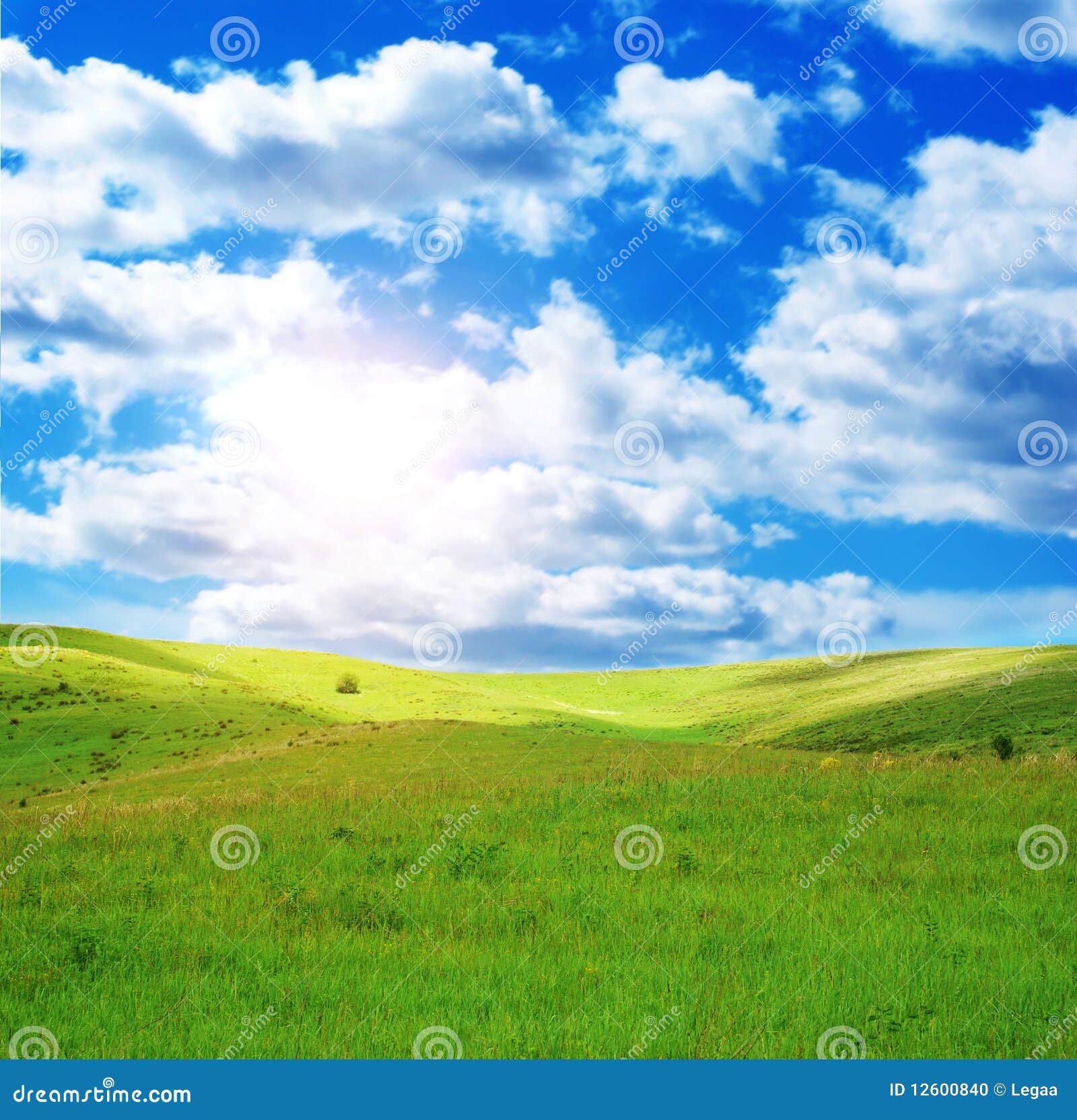 Sunny Spring Narcissus, Chalkboard, Schoene Ferien Means Happy Holidays ...