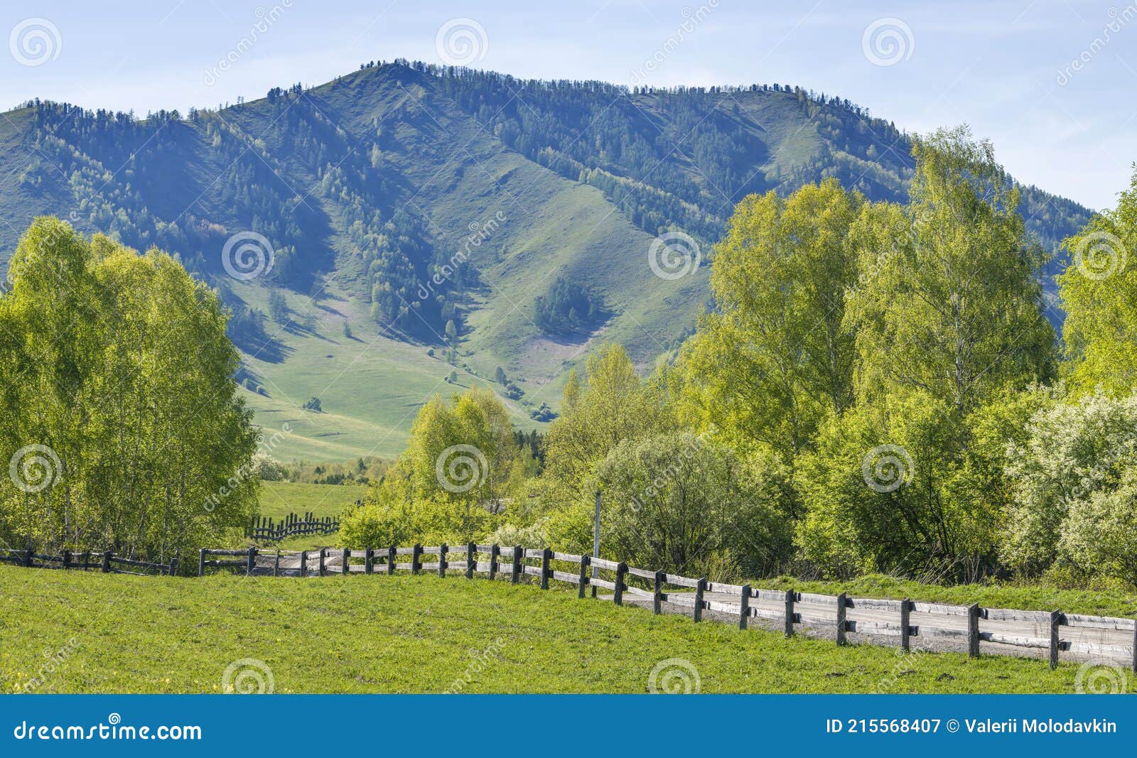 Sunny Spring Day, Countryside Stock Image - Image of environment ...