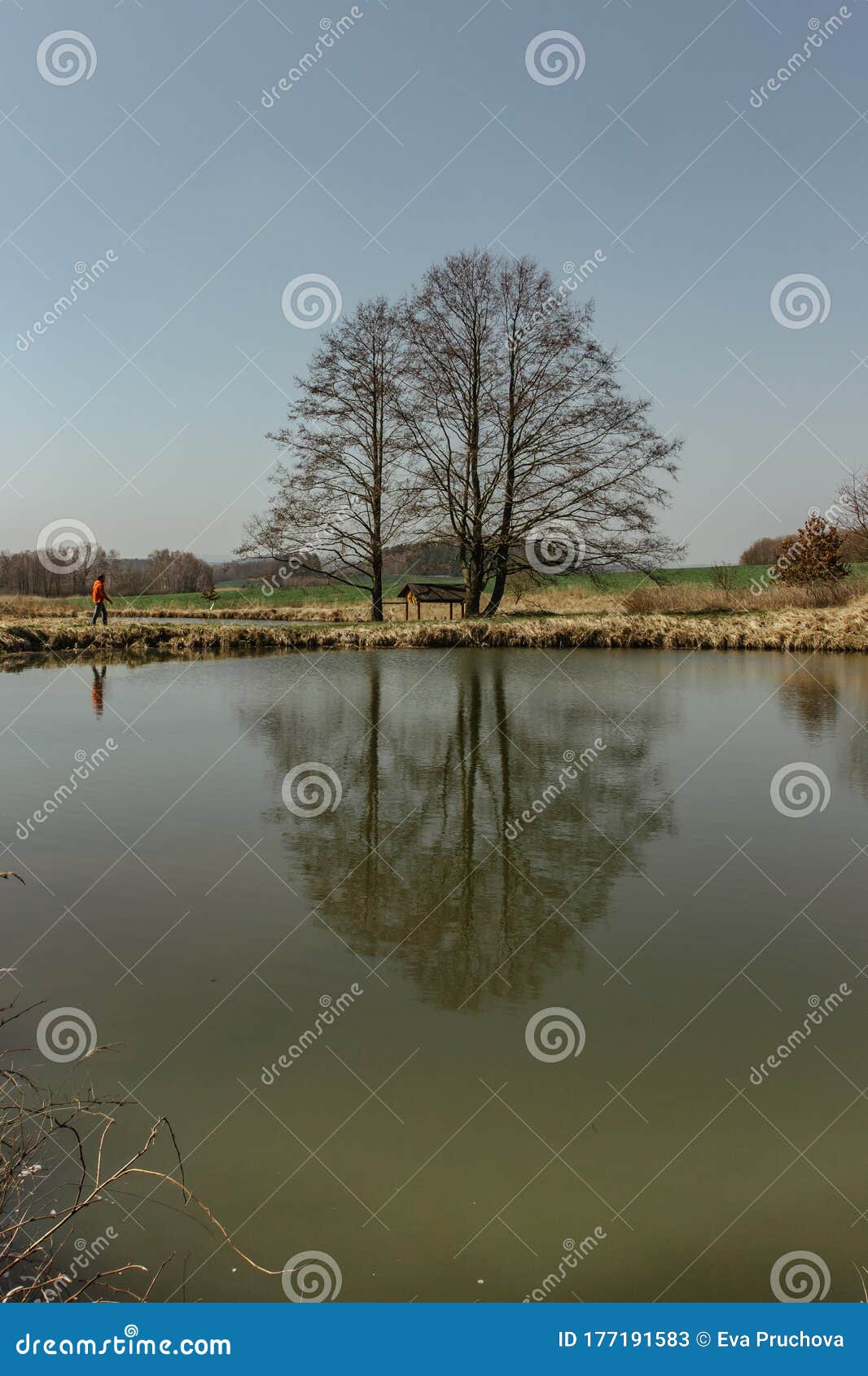 Sunny Spring Day in the Countryside. Water Reflection. Trees Reflected ...