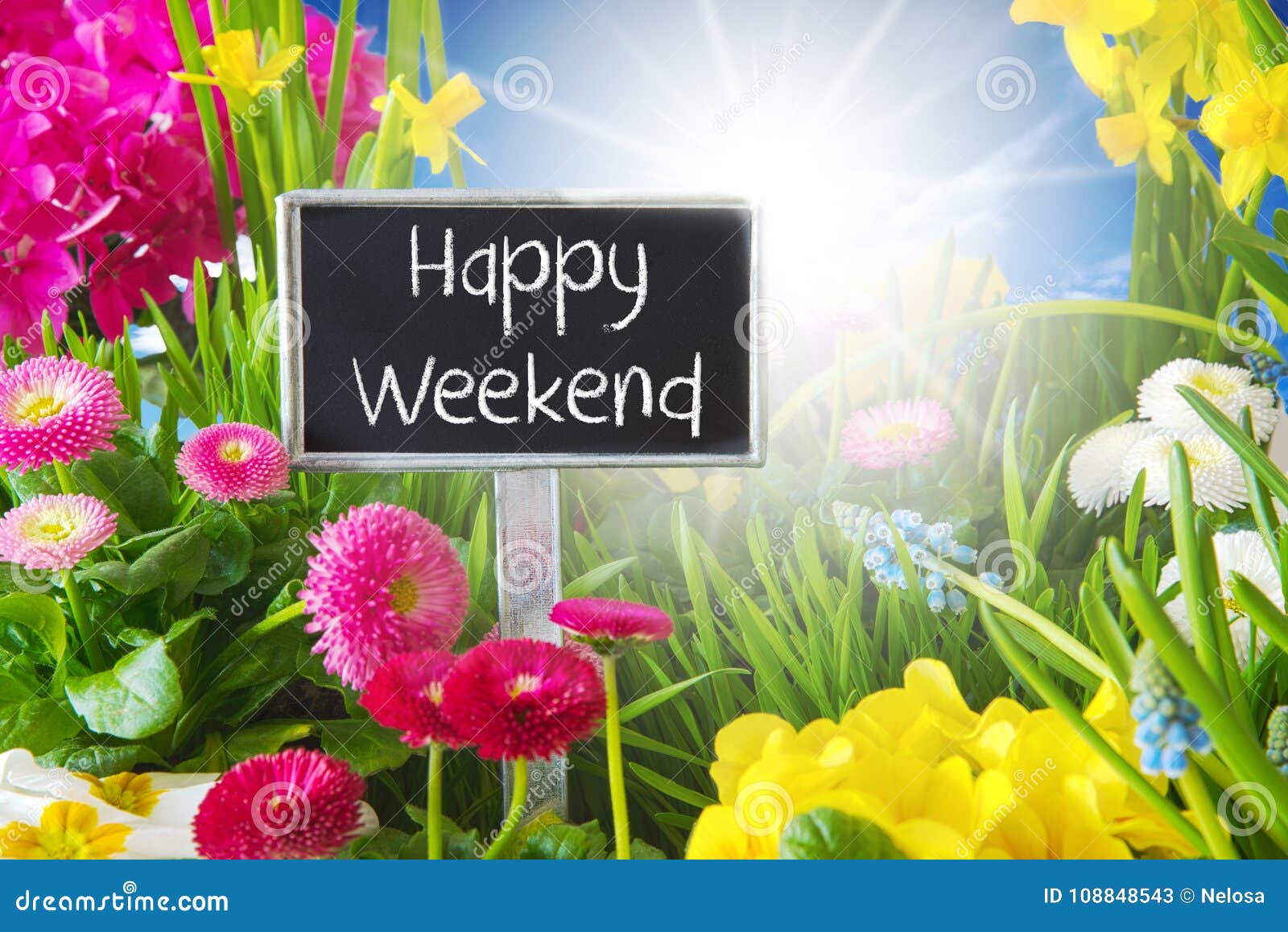 Sunny Spring Flower Meadow, Week-end Heureux Image stock - Image du ...