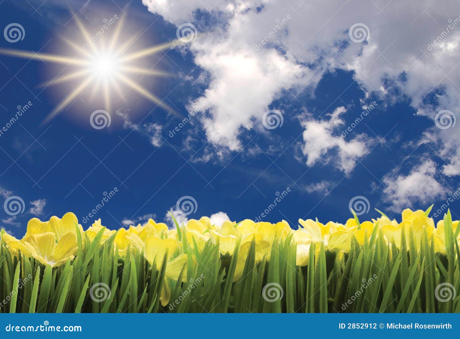 Sunny spring landscape stock photo. Image of lawn, idyllic - 2852912