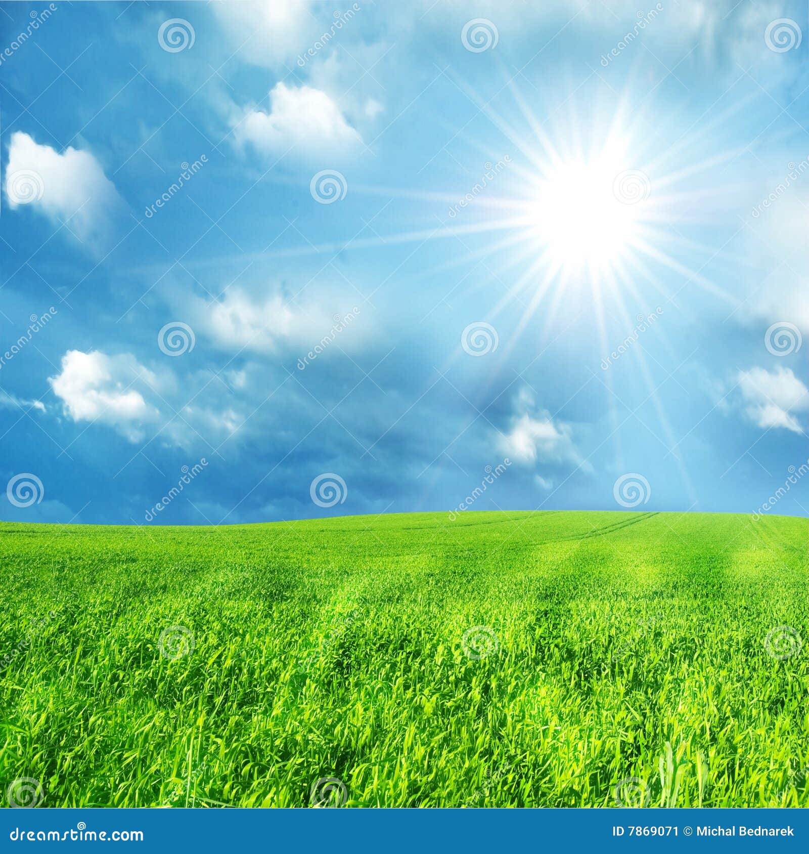 Sunny spring landscape stock image. Image of paradise - 7869071