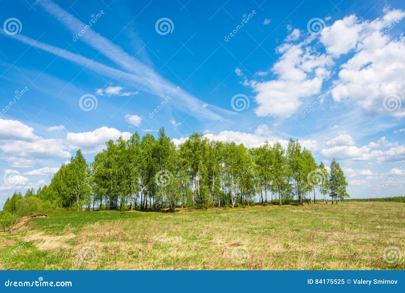 Sunny spring landscape. stock image. Image of green, weather - 84175525