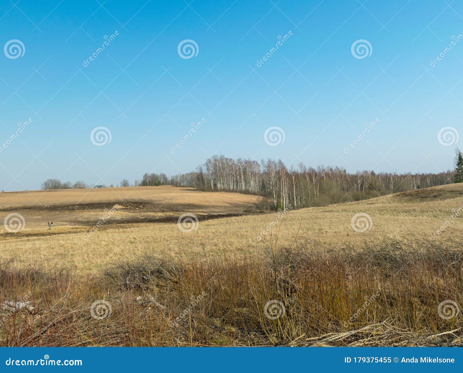 Sunny Spring Landscape with Countryside Stock Image - Image of ...