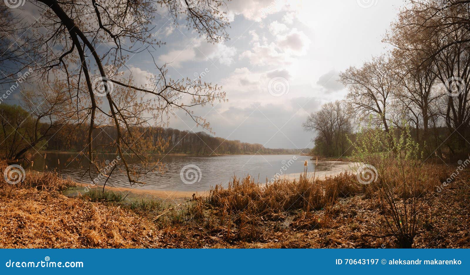 Sunny Spring Landscape. River in a Green Forest Stock Image - Image of ...