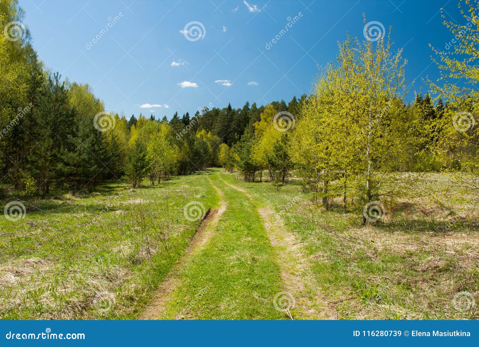 Sunny Spring Landscape with Road Path To Forest on Blue Sky. Stock ...