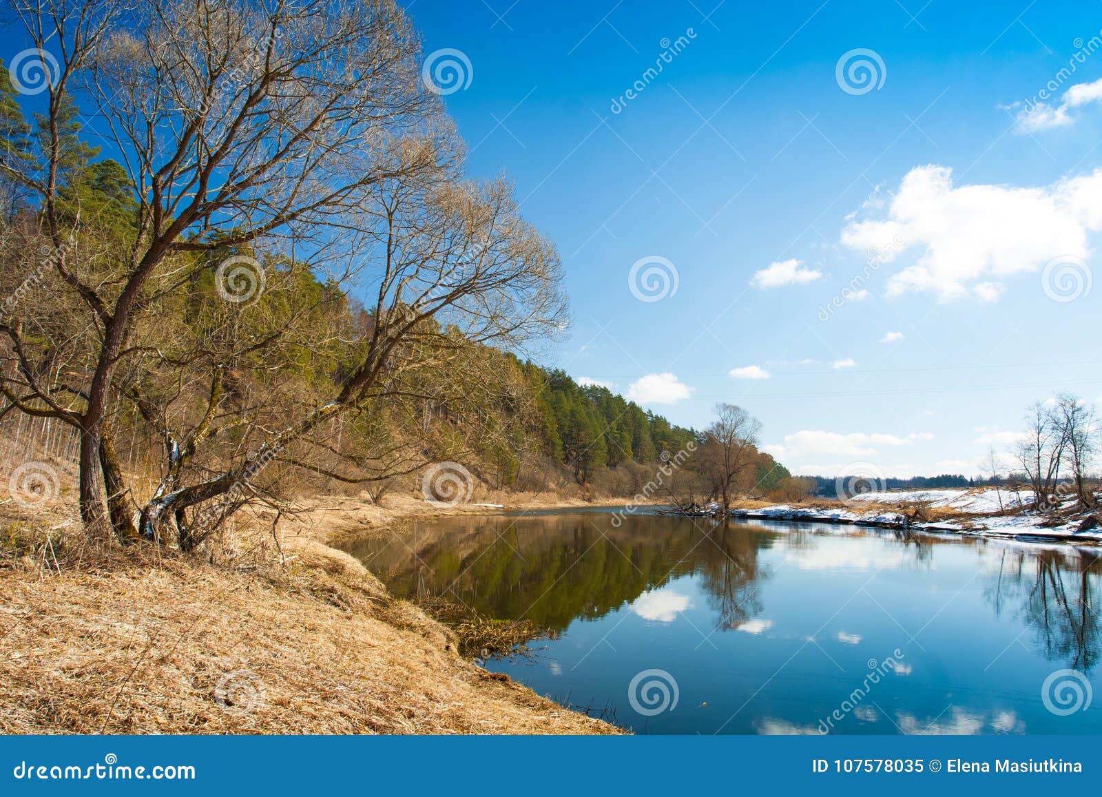 Sunny Spring Landscape with Tree and River. Stock Image - Image of ...