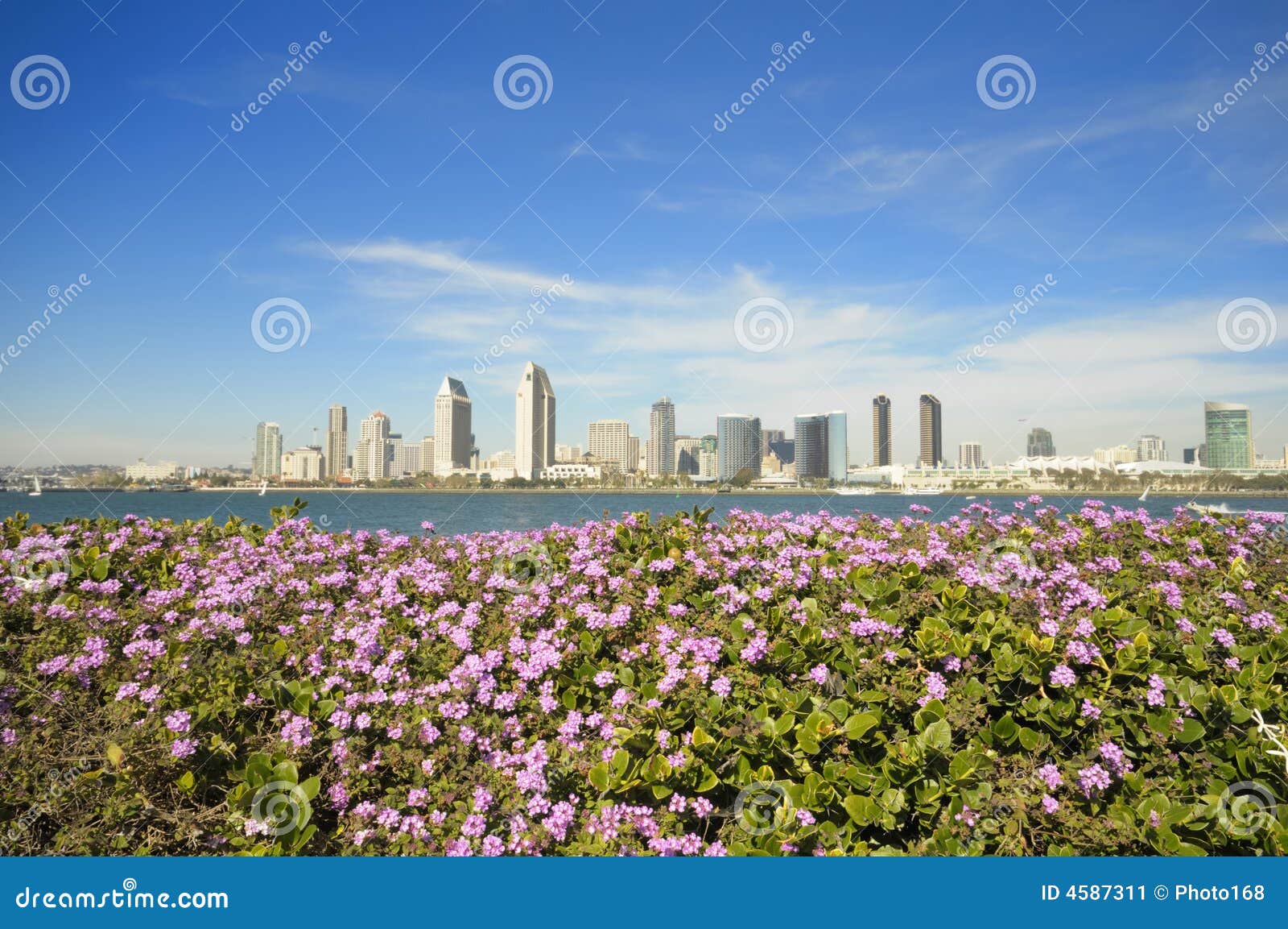 Sunny spring in San Diego stock image. Image of life, landscape - 4587311