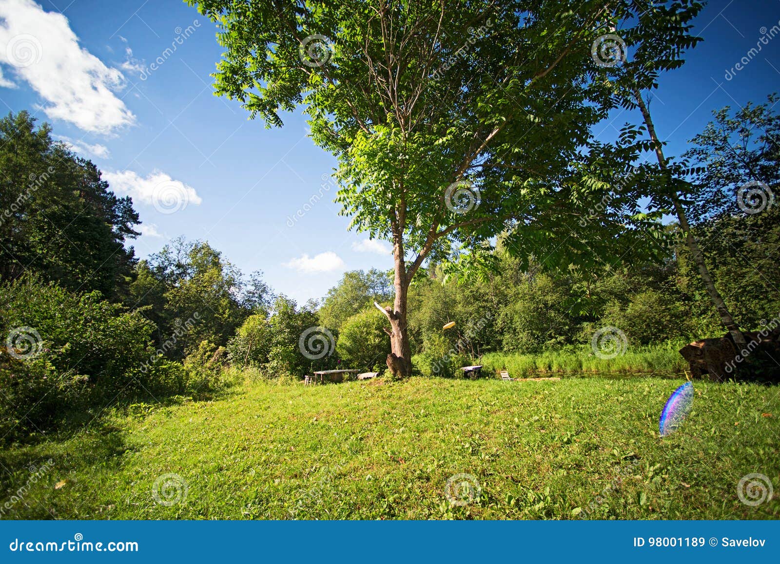 Sunny summer countryside stock image. Image of foliage - 98001189
