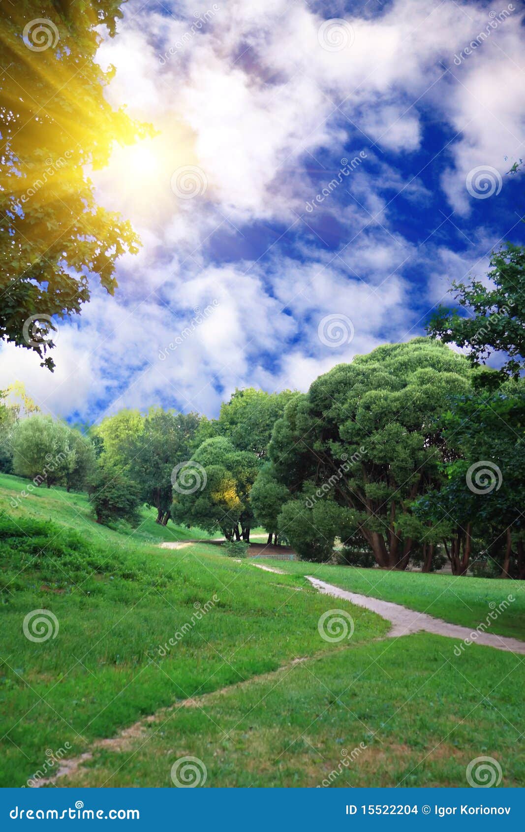 Sunny summer day stock photo. Image of landscape, spring - 15522204