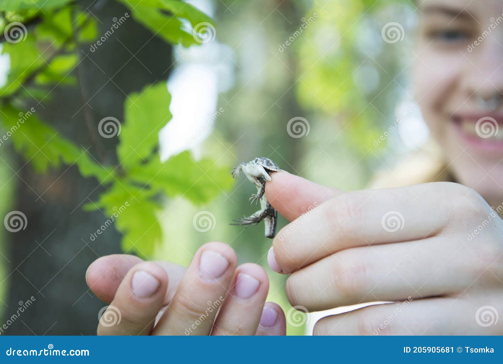 On a Sunny Summer Day a Lizard Bites a Finger Stock Image - Image of ...