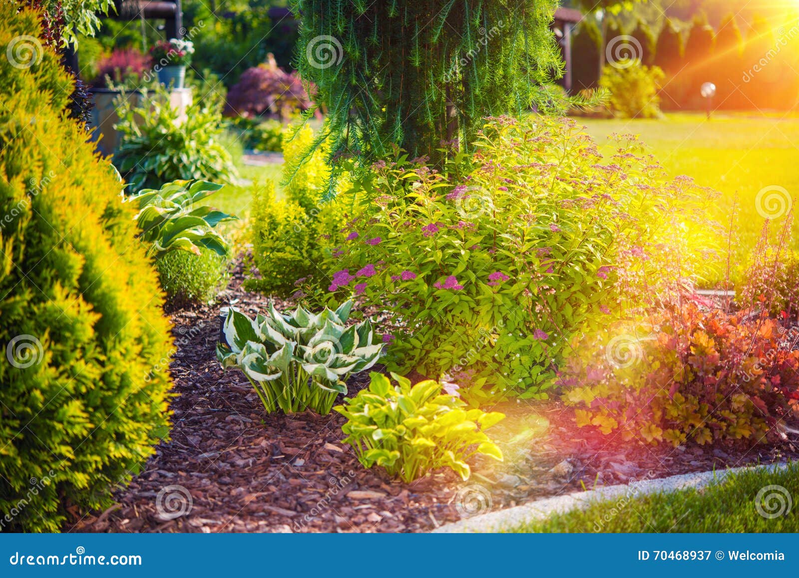 Sunny Summer Garden stock image. Image of blossom, bloom - 70468937