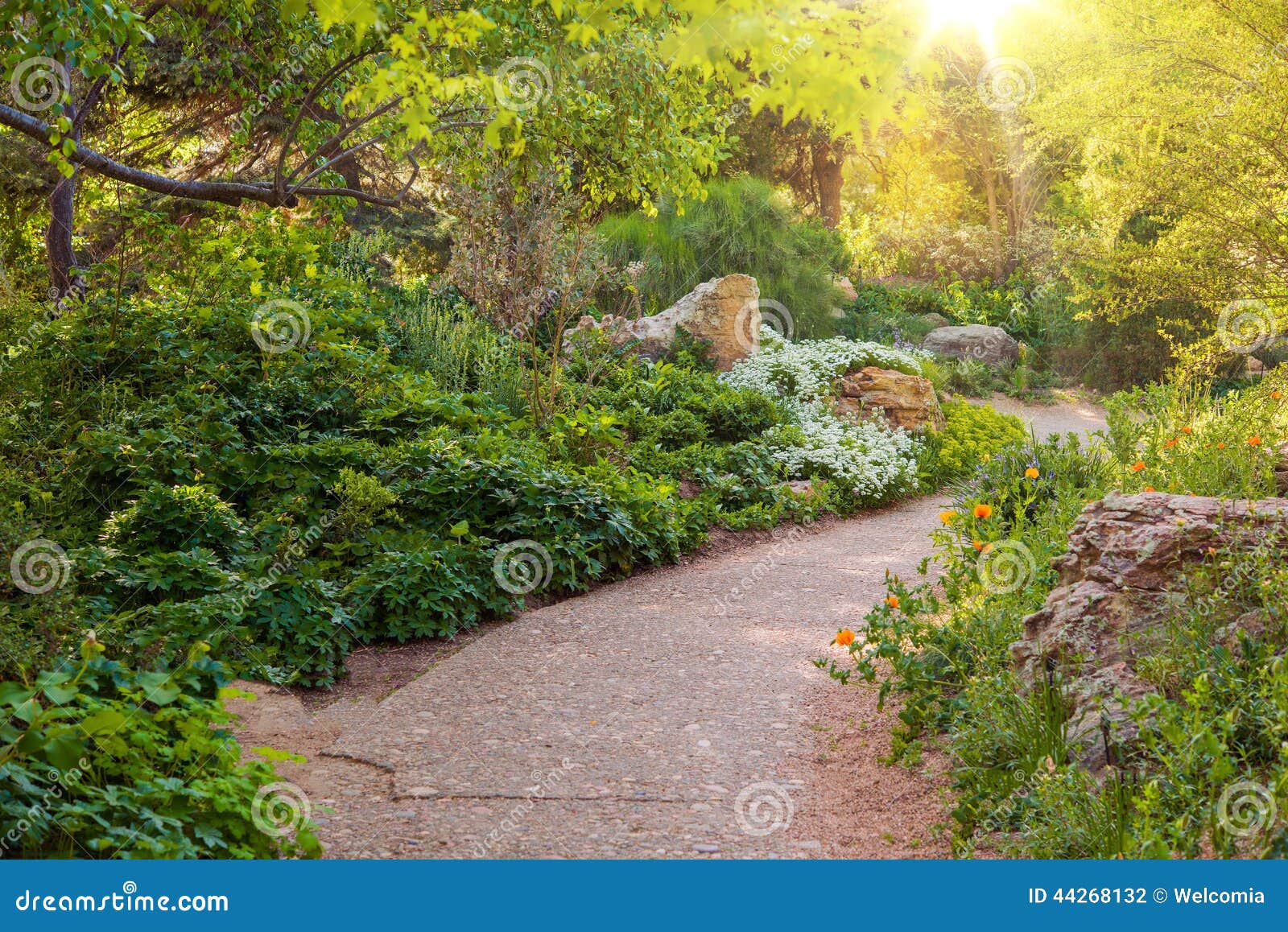 Sunny Summer Garden stock photo. Image of place, specie - 44268132