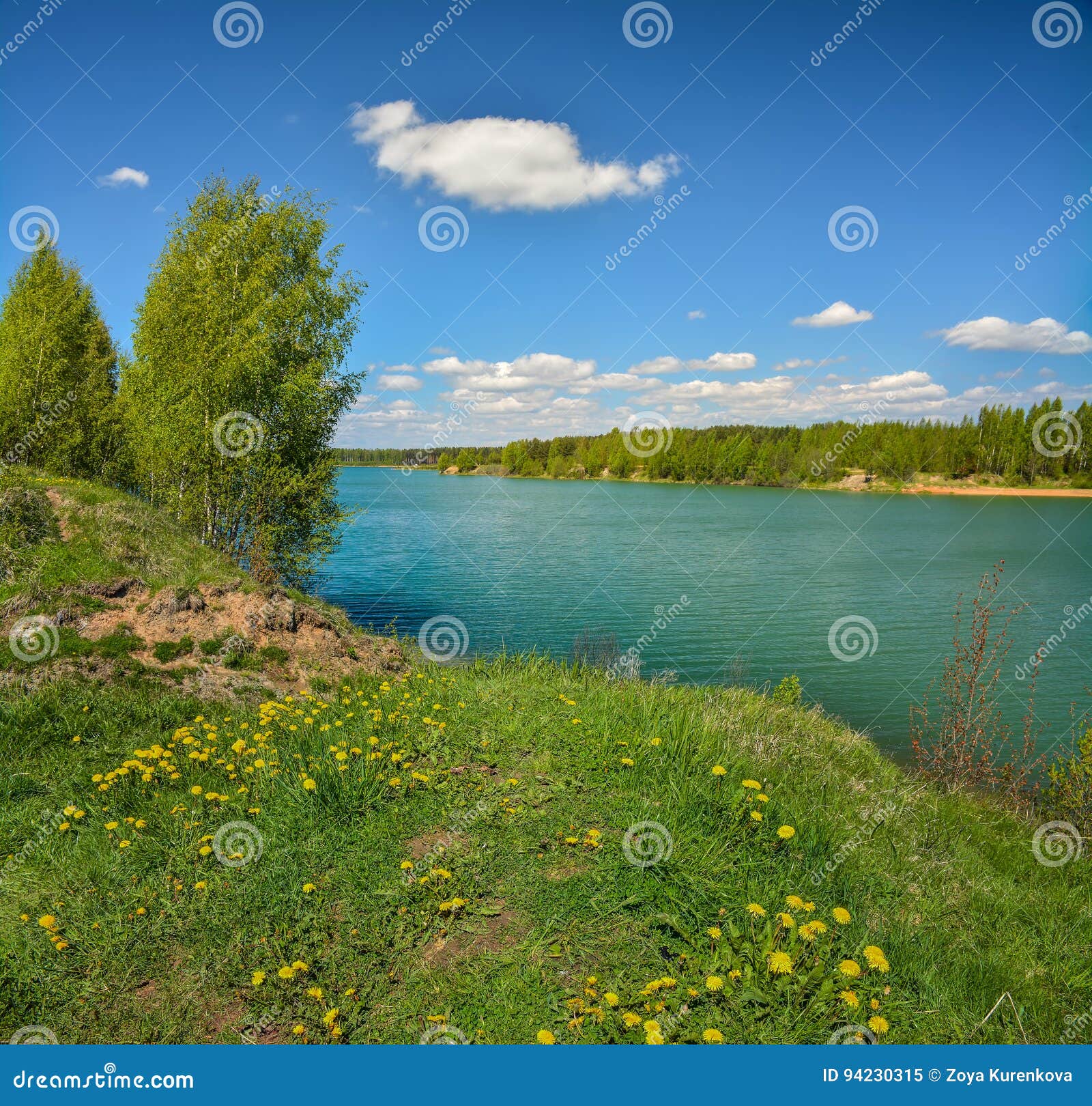 A Sunny summer morning stock image. Image of morning - 94230315