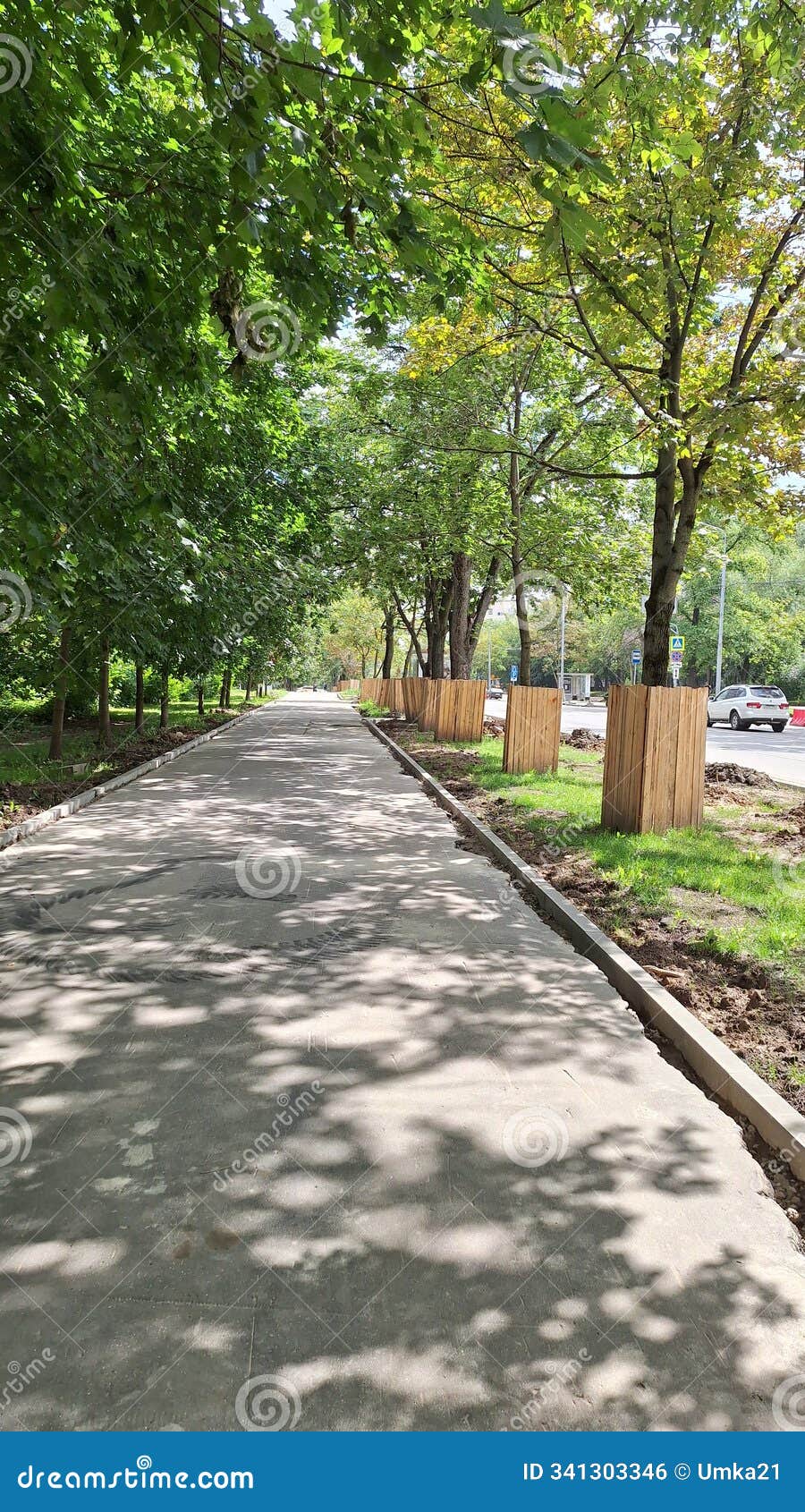 Sunny Tree-lined Pathway with Dappled Shadows in Urban Setting Stock ...